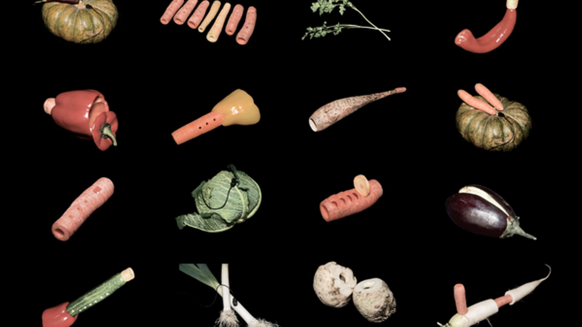 'The Vegetable Orchestra' lance son crowdfunding - RTBF Actus