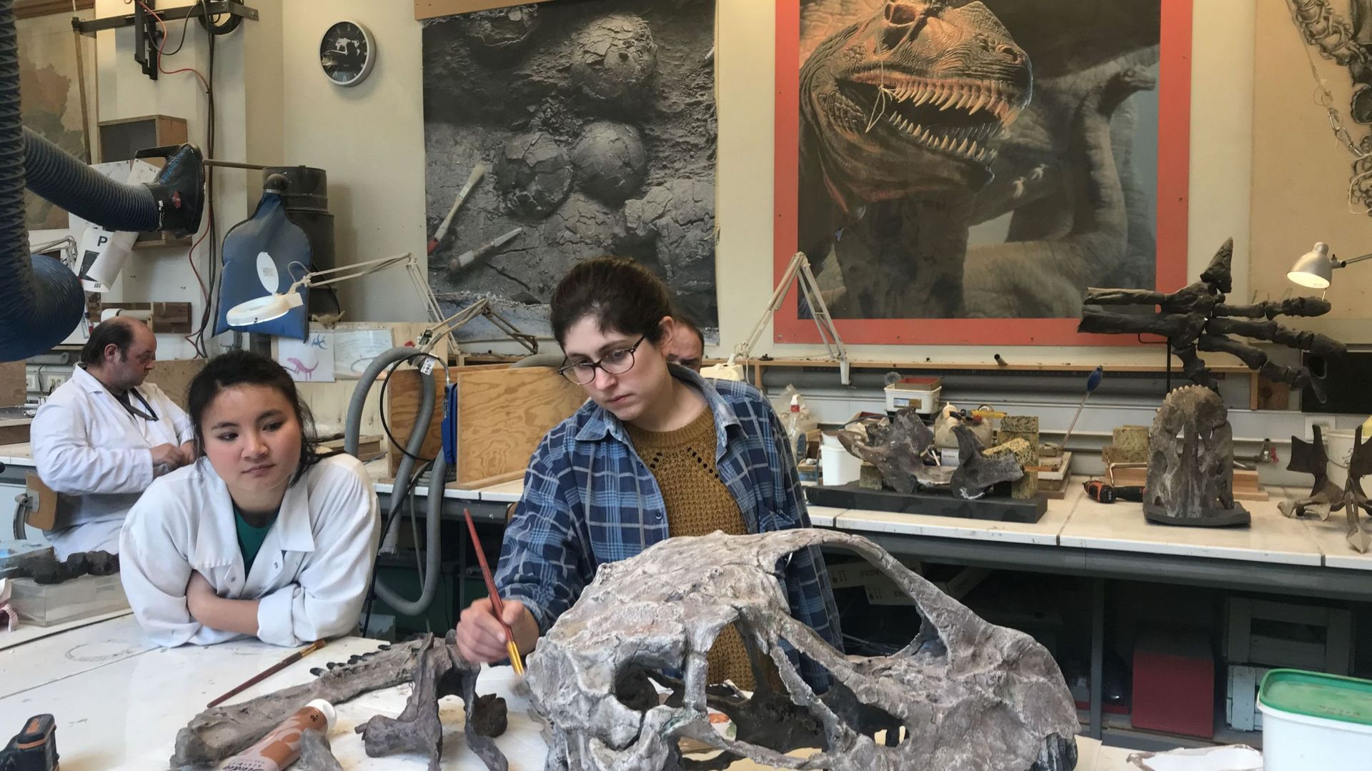 Arkhane, le nouveau prédateur du Jurassique à Bruxelles - RTBF Actus