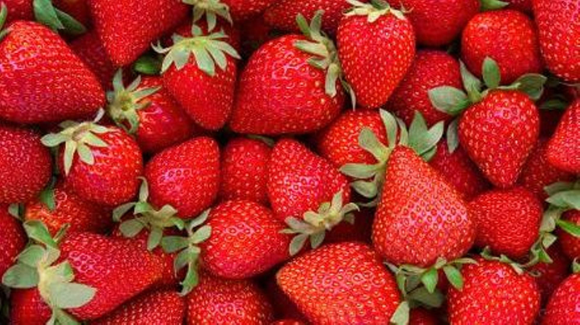 Recettes de Carlo : Préparations à la fraise - RTBF Actus