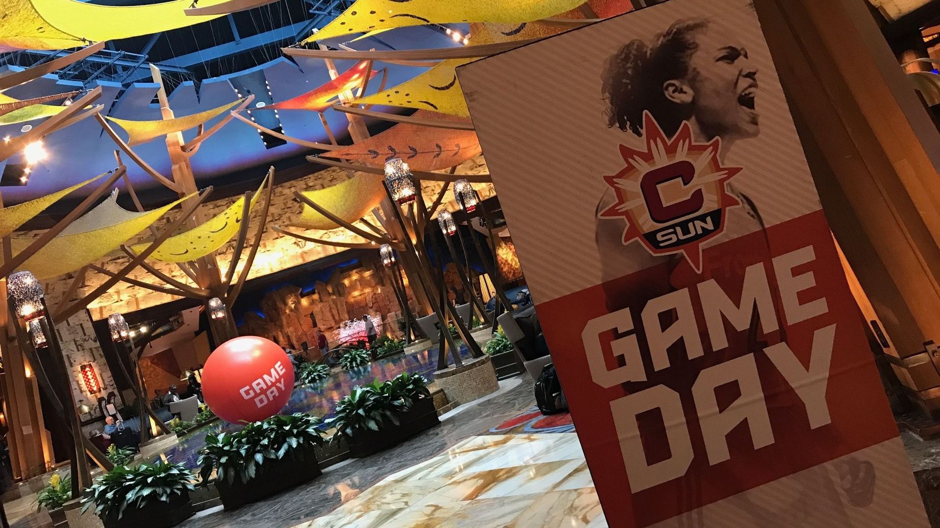 Emma Meesseman et Kim Mestdagh : deux Cats sur le toit de la WNBA ...