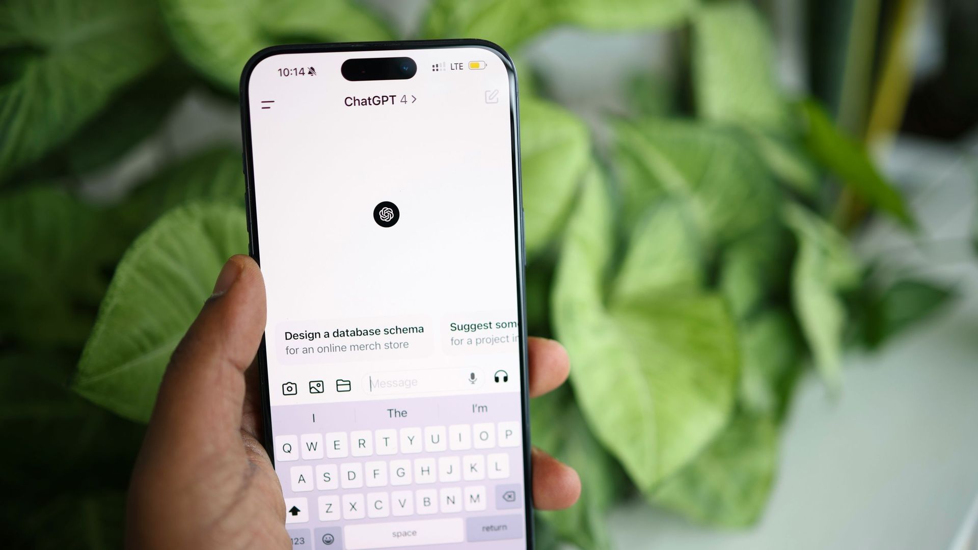 Masi rodriguez topless i’ve been wanting to meet with Stacy