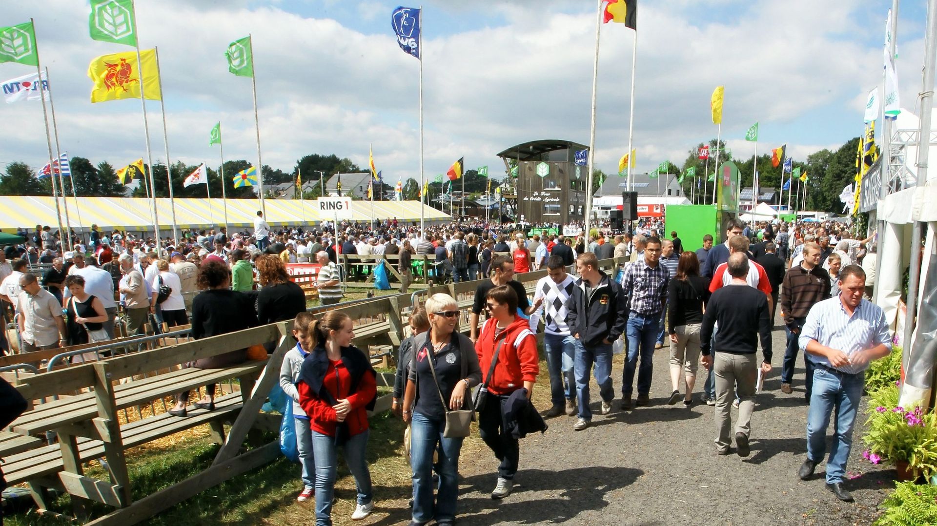 La 77e Foire de Libramont sous le thème de la forêt productive - RTBF Actus