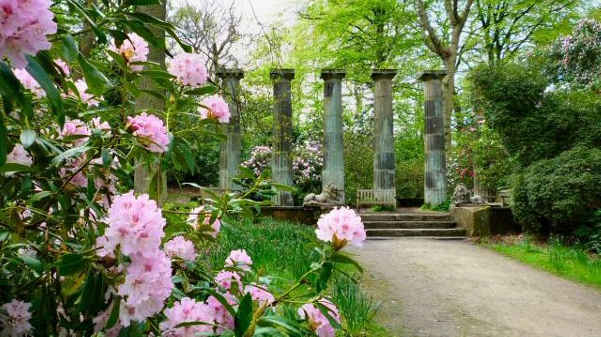 Harlow Carr Garden dans le Nord Yorkshire - RTBF Actus