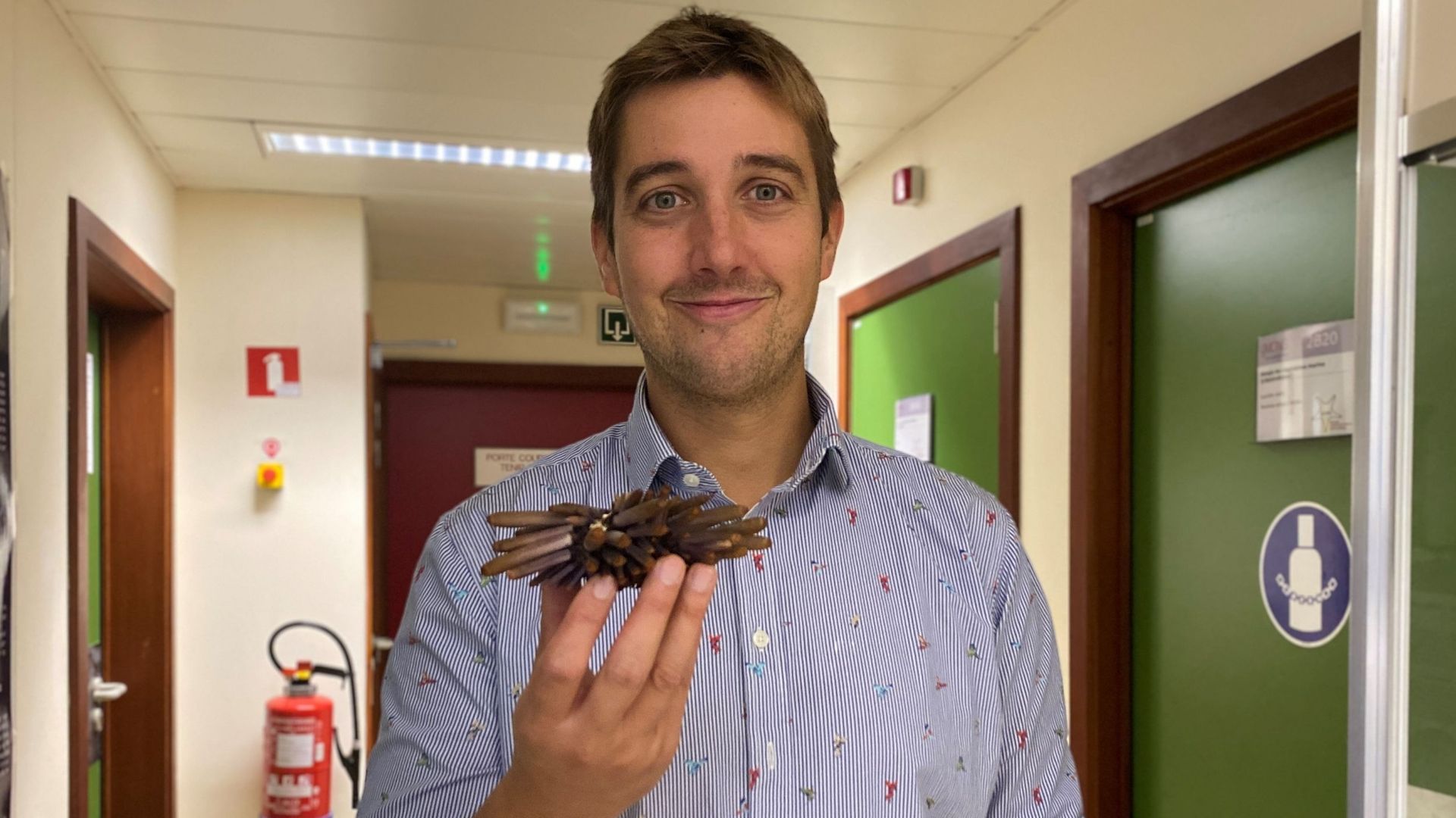 Les plongeurs constatent les effets du réchauffement climatique aussi ...