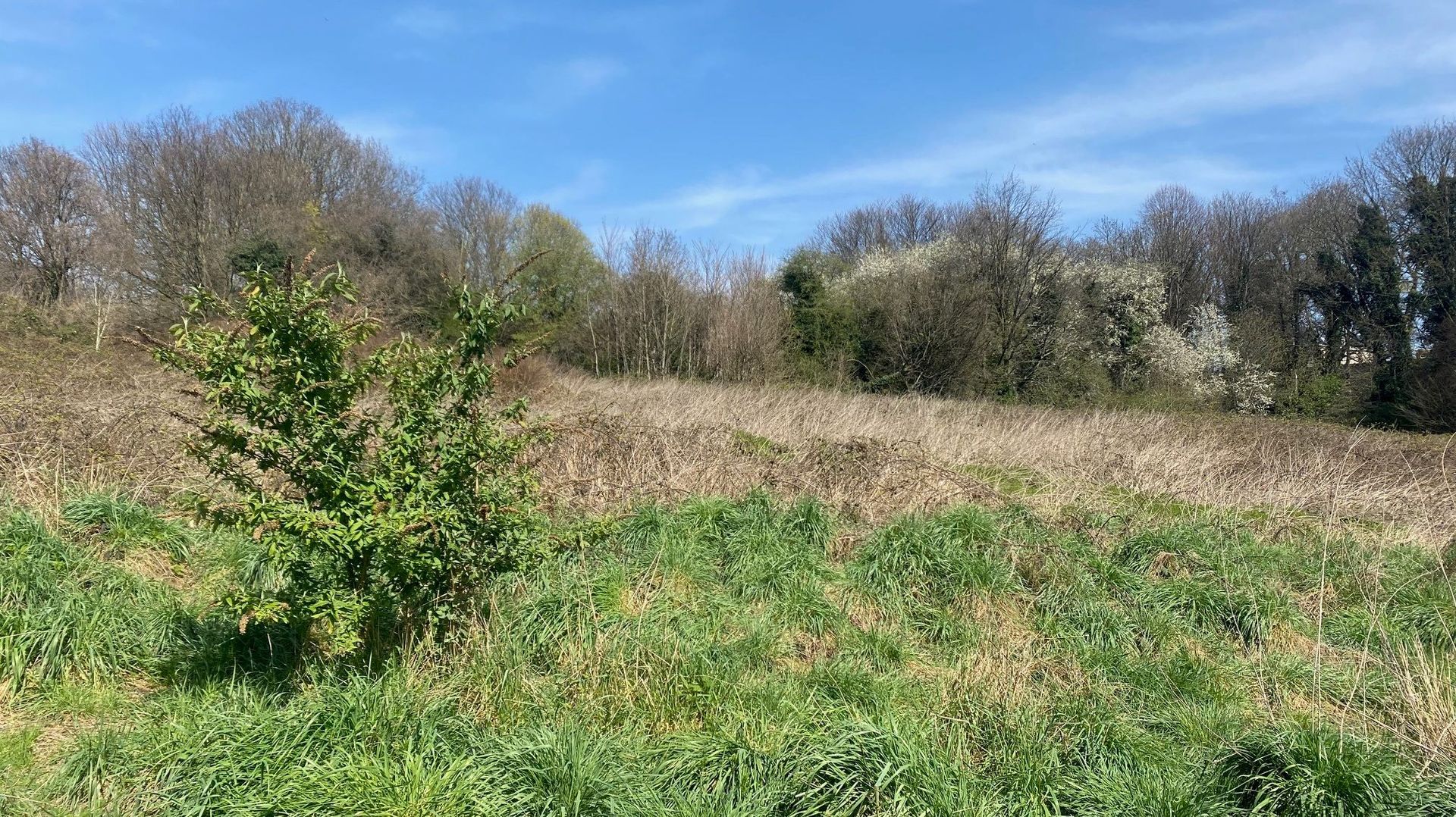 Laeken : le collectif 'Save Donderberg' s’apprête à déposer un recours ...