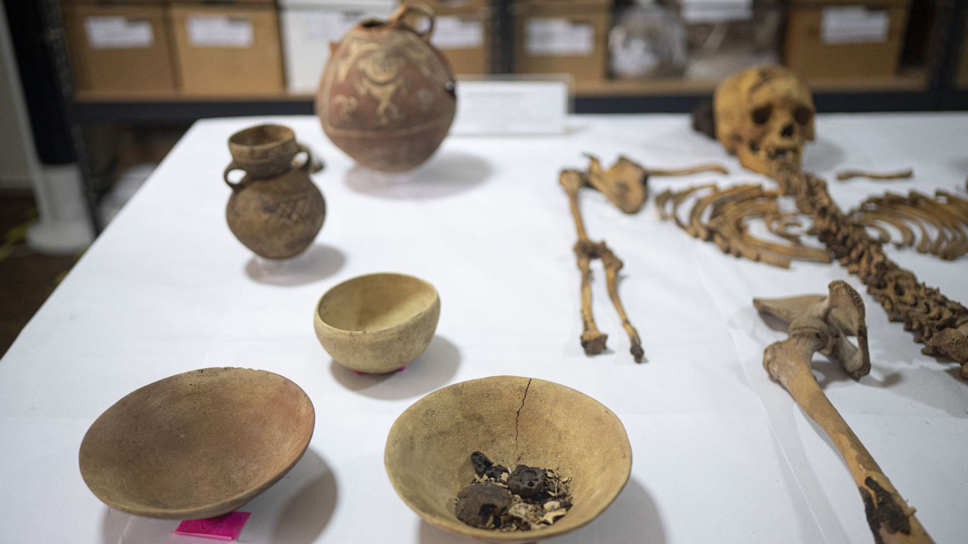 Vesna pocuca sana pics the provider represents absolute joy