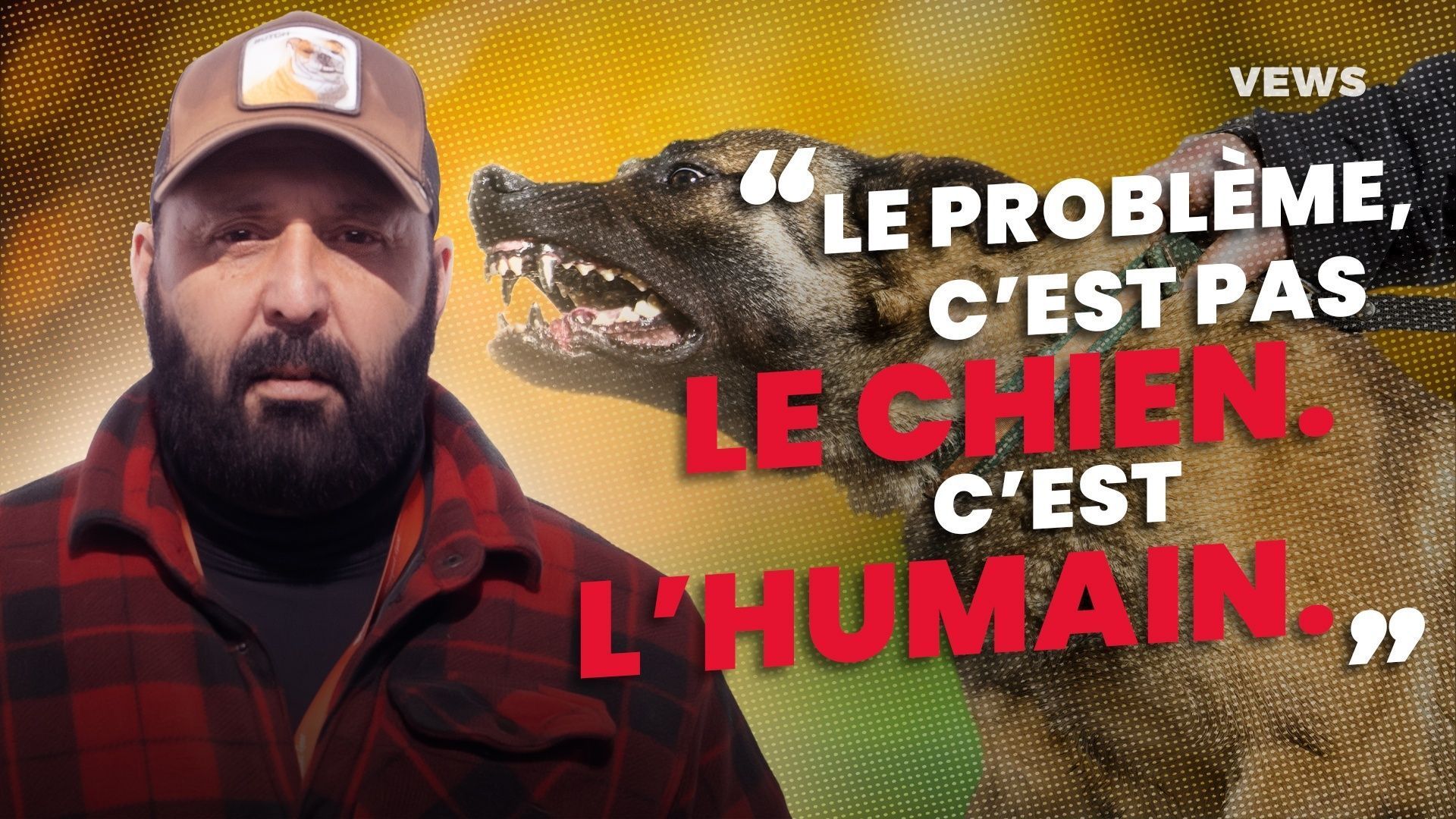 'Ce ne sont jamais les chiens, c’est toujours l’humain' : Yves répare ...