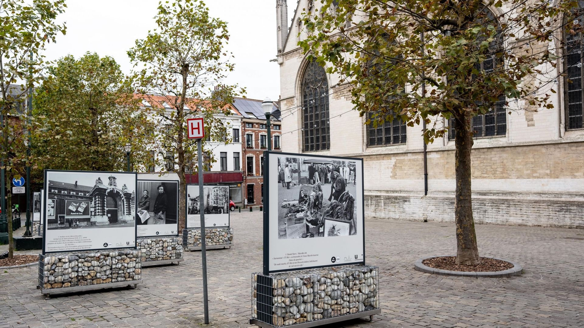 Marollescence : Une balade lumineuse pour (re)découvrir le quartier des ...