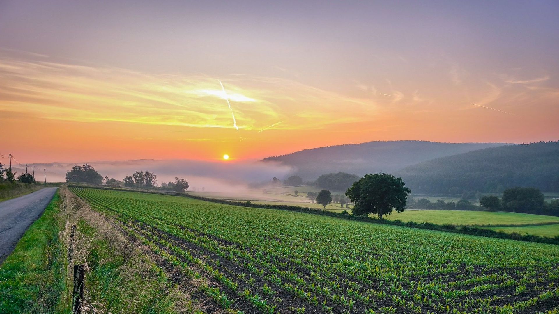 Météo en Belgique : temps ensoleillé et plus doux ce mercredi jusqu’à ...