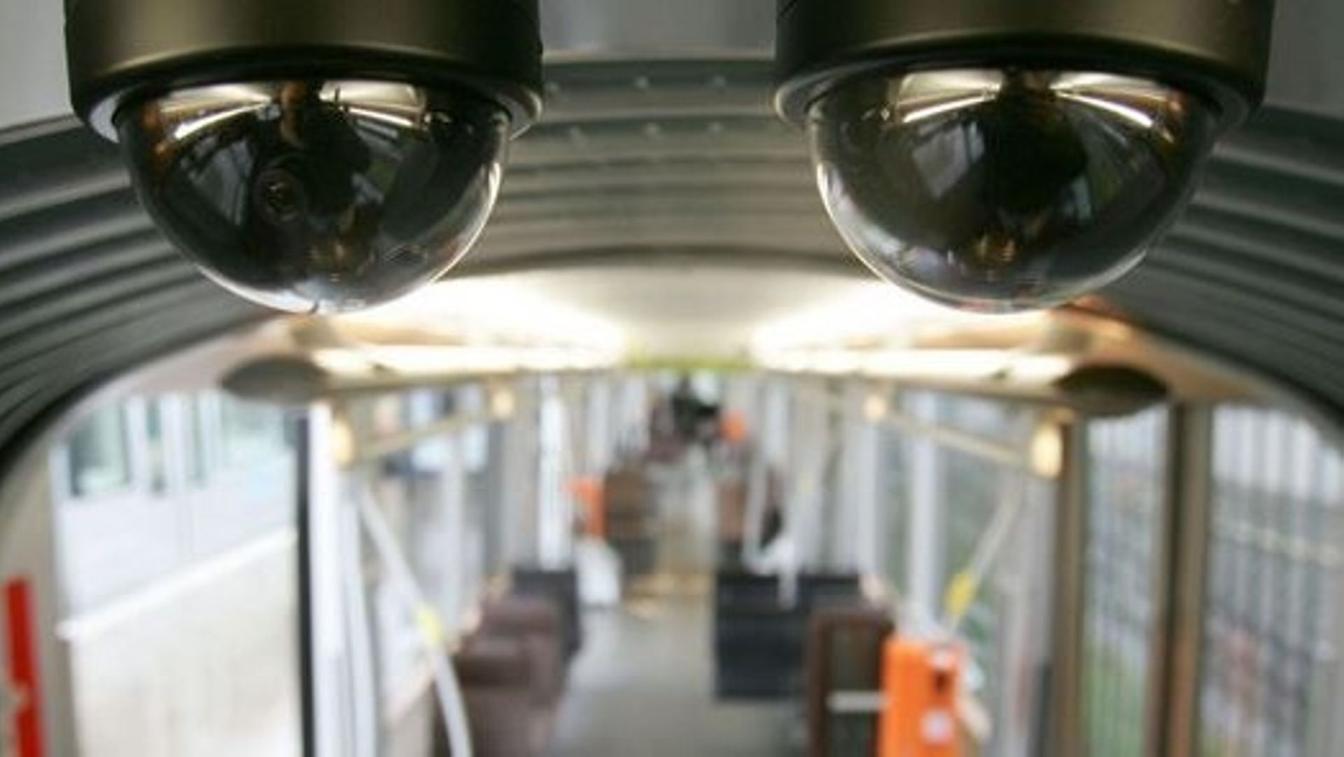 Des renards dans le métro à Bruxelles : 'Leur espérance de vie est plus élevée ici qu’en ...