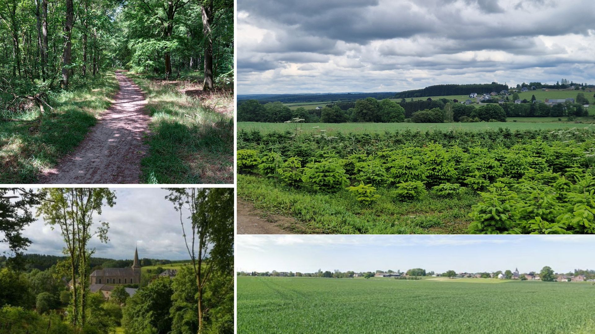 Les 16 marches Adeps du dimanche 6 juillet en Wallonie - RTBF Actus