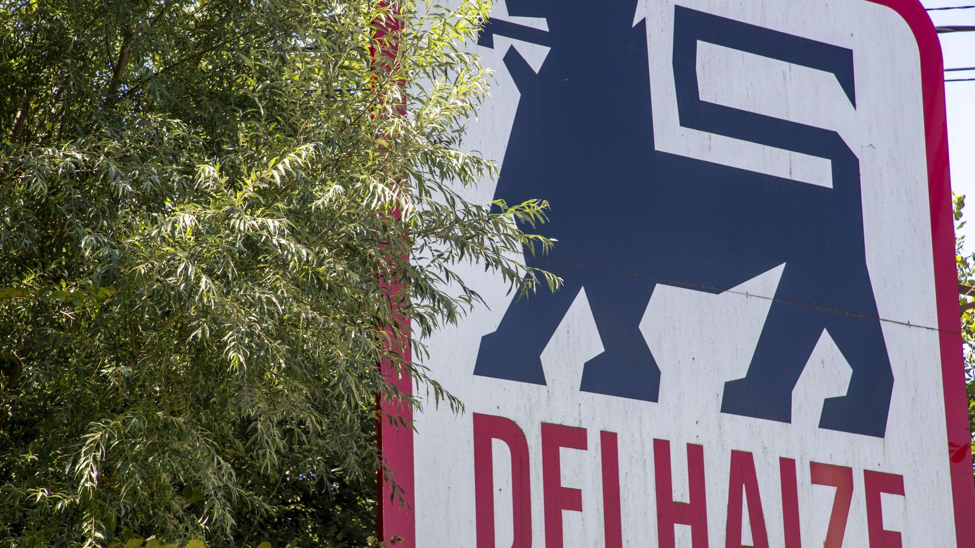 Delhaize annonce la reprise des 325 magasins Louis Delhaize - RTBF Actus