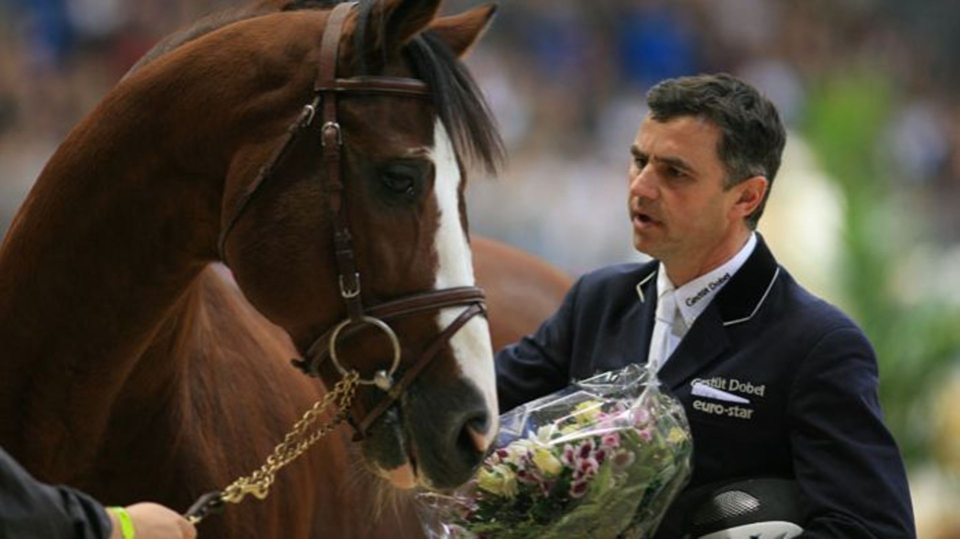 Hippisme: Décès de Lando, mort à 23 ans - RTBF Actus
