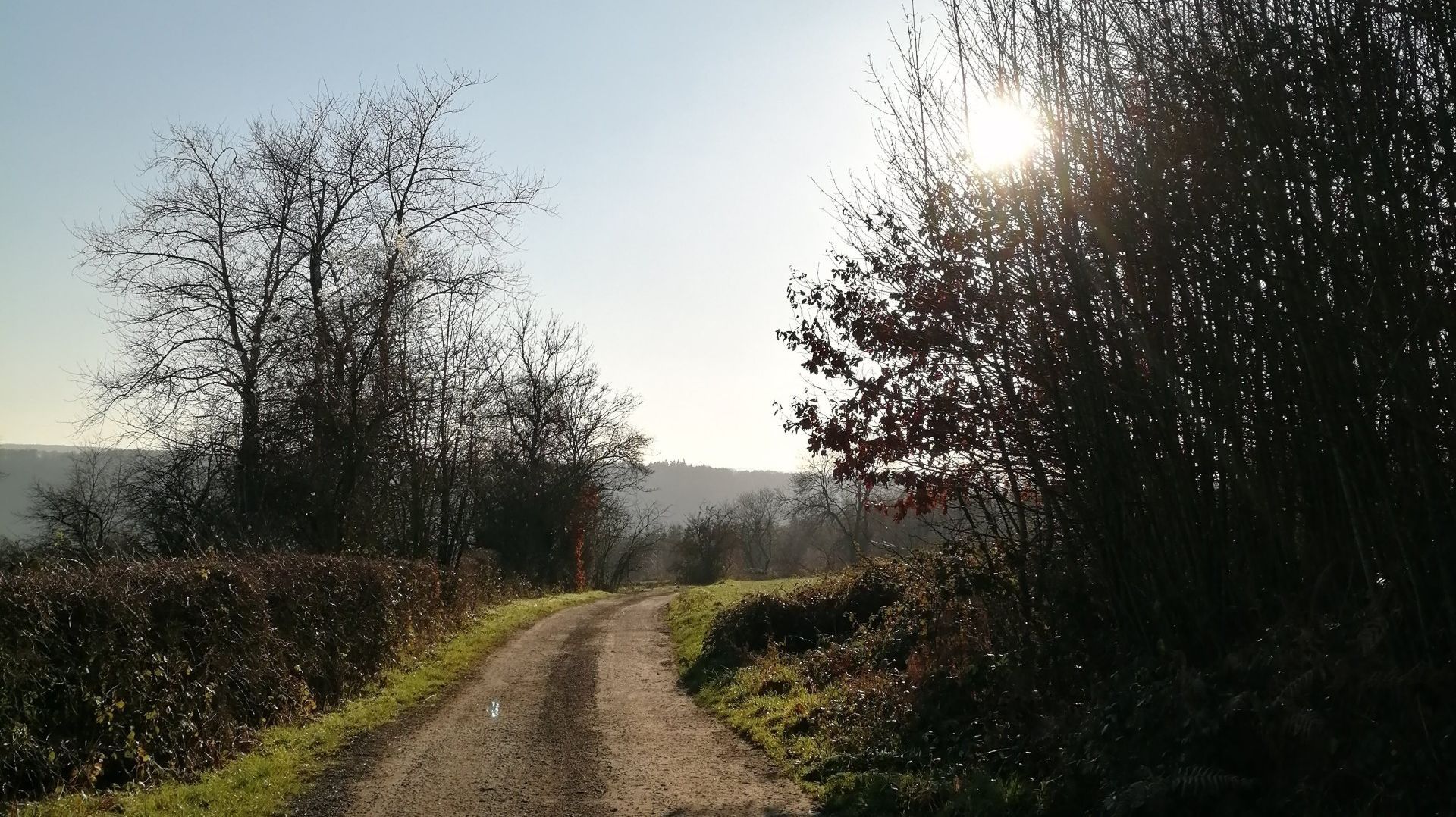 Les 22 marches Adeps du dimanche 16 mars en Wallonie - RTBF Actus