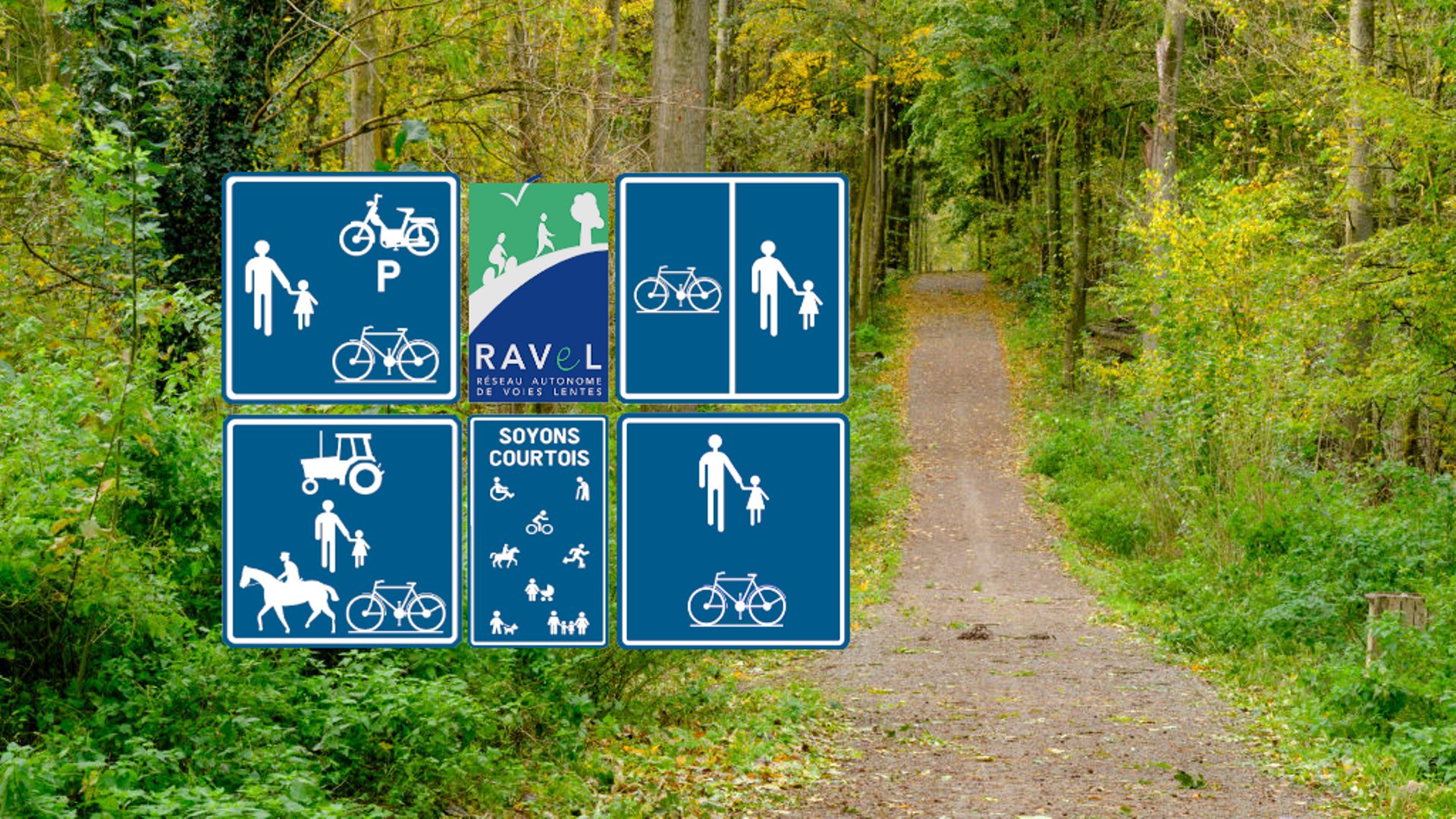 Sécurité Routière : Les pistes cyclables, règles, droits et obligations ...