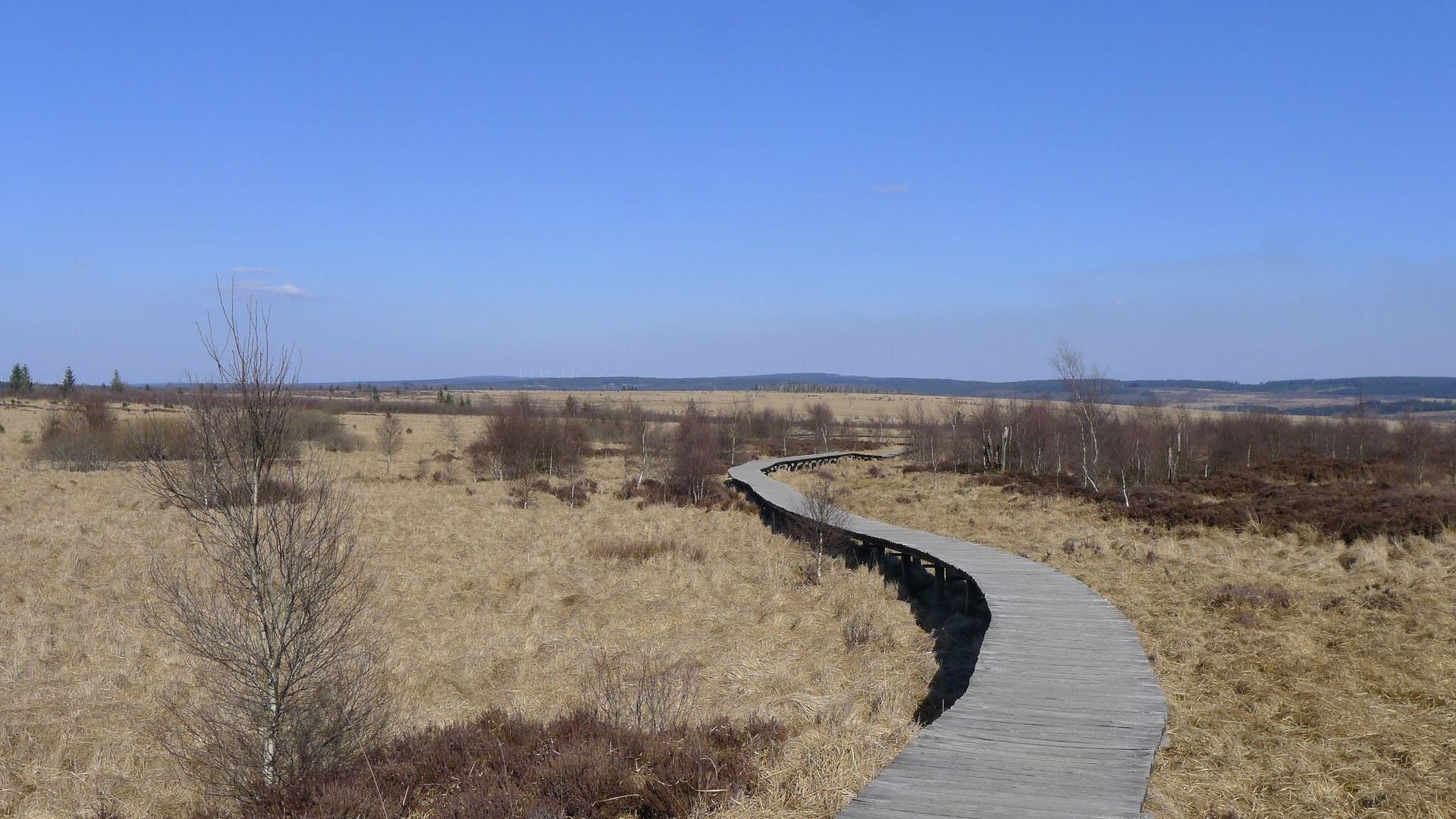 Risque d'incendie : le drapeau rouge à nouveau hissé dans les Hautes ...