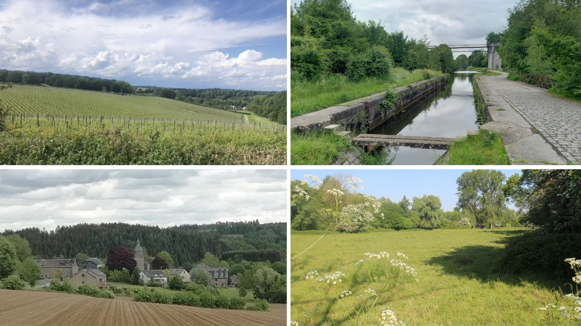 Les 11 marches Adeps du dimanche 9 juin en Wallonie - RTBF Actus