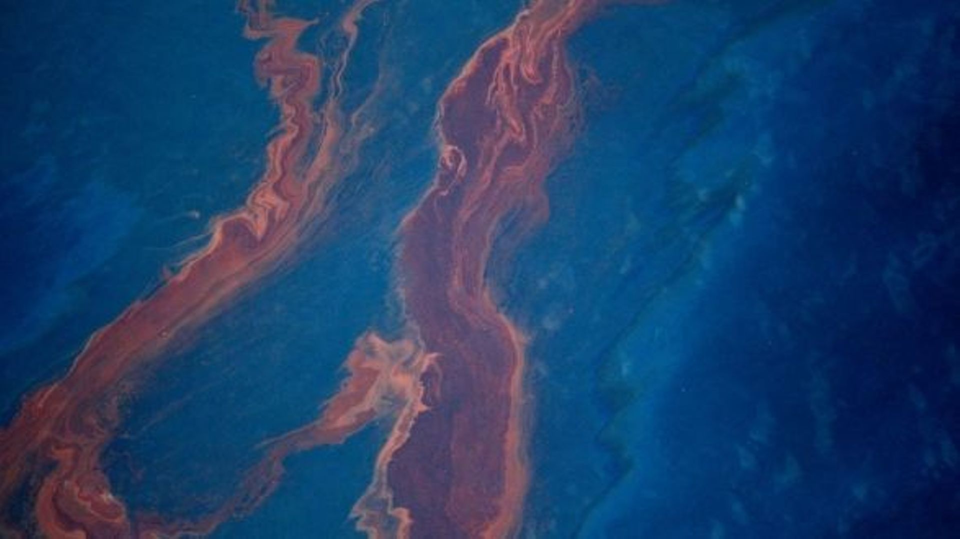 Que devient le pétrole d'une marée noire ? - RTBF Actus