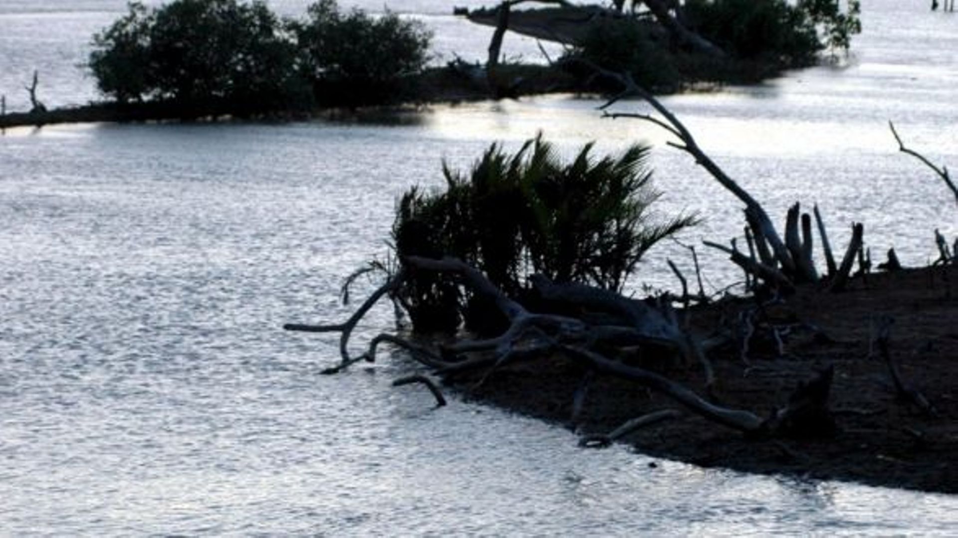 Mini tsunami en Nouvelle-Zélande et en Australie - RTBF Actus