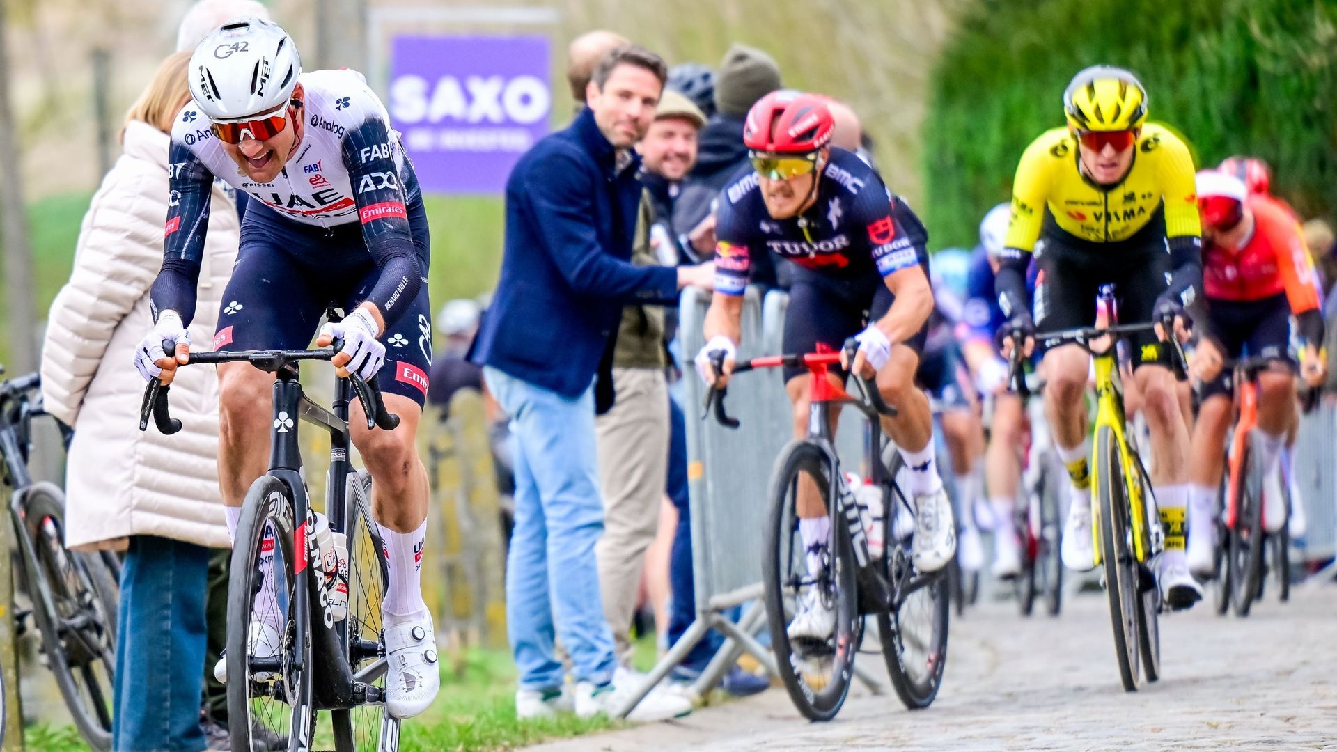 Thibaut Roland fait ses adieux à 'On n’est pas des pigeons', Fanny ...