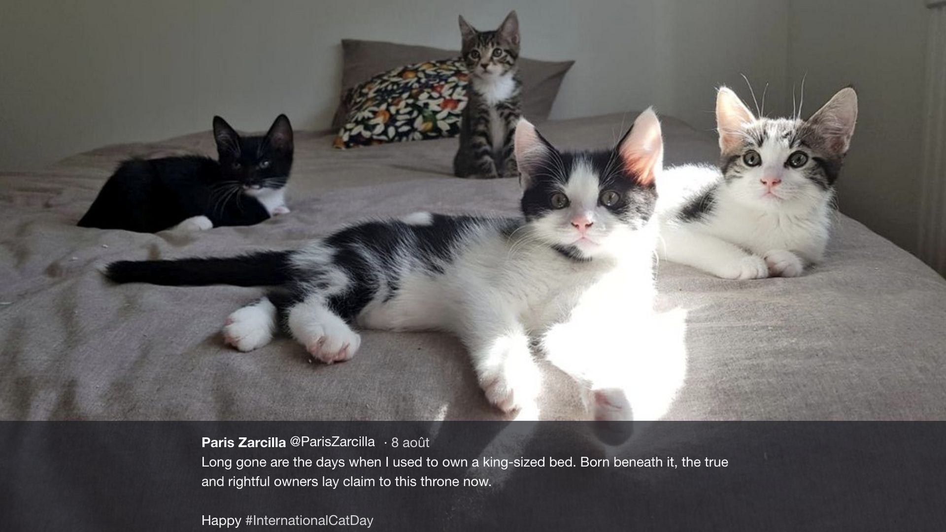 4chan, Reddit : mème combat - RTBF Actus