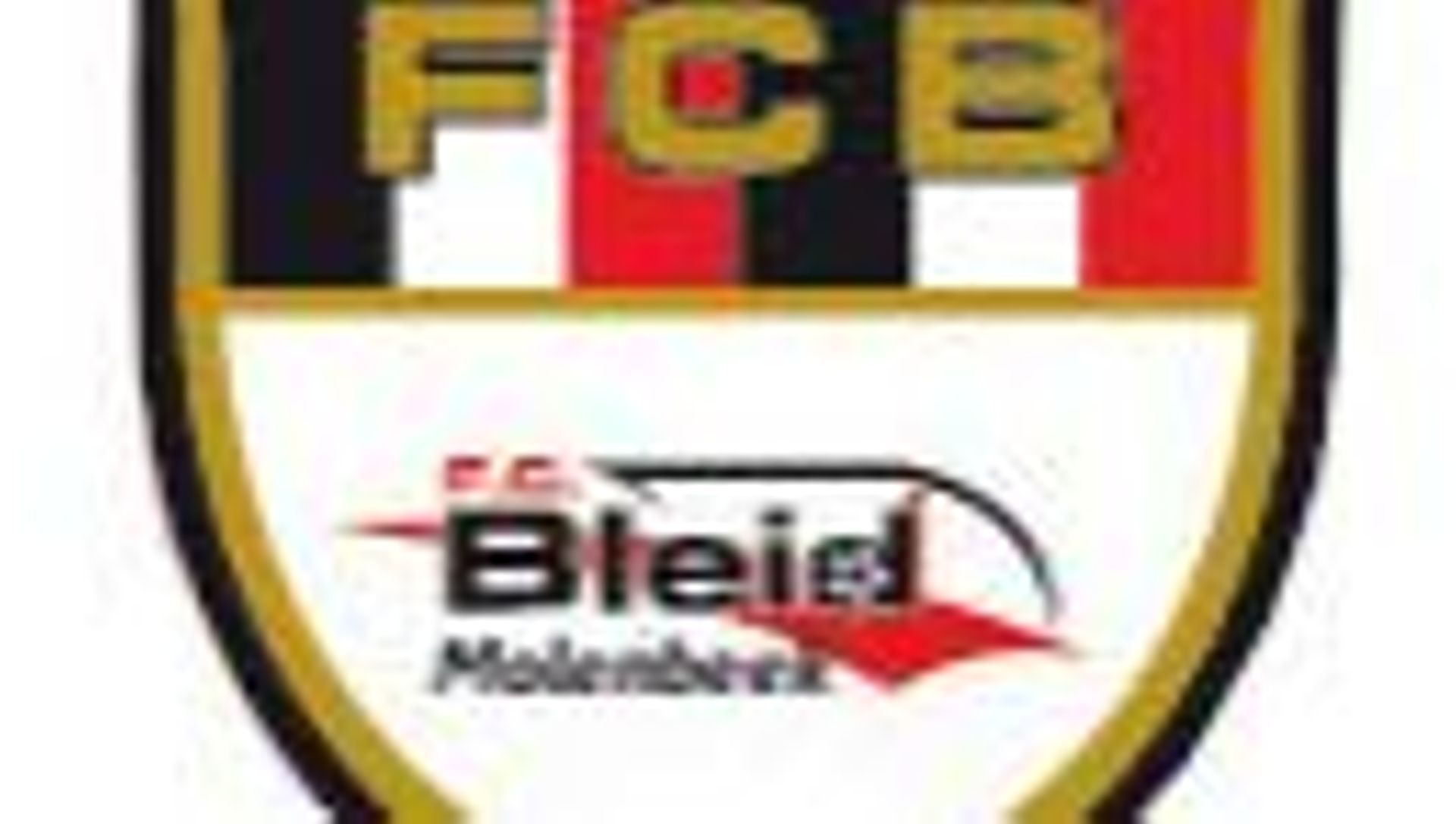 Bleid-Molenbeek perd quinze matchs sur tapis vert - rtbf.be