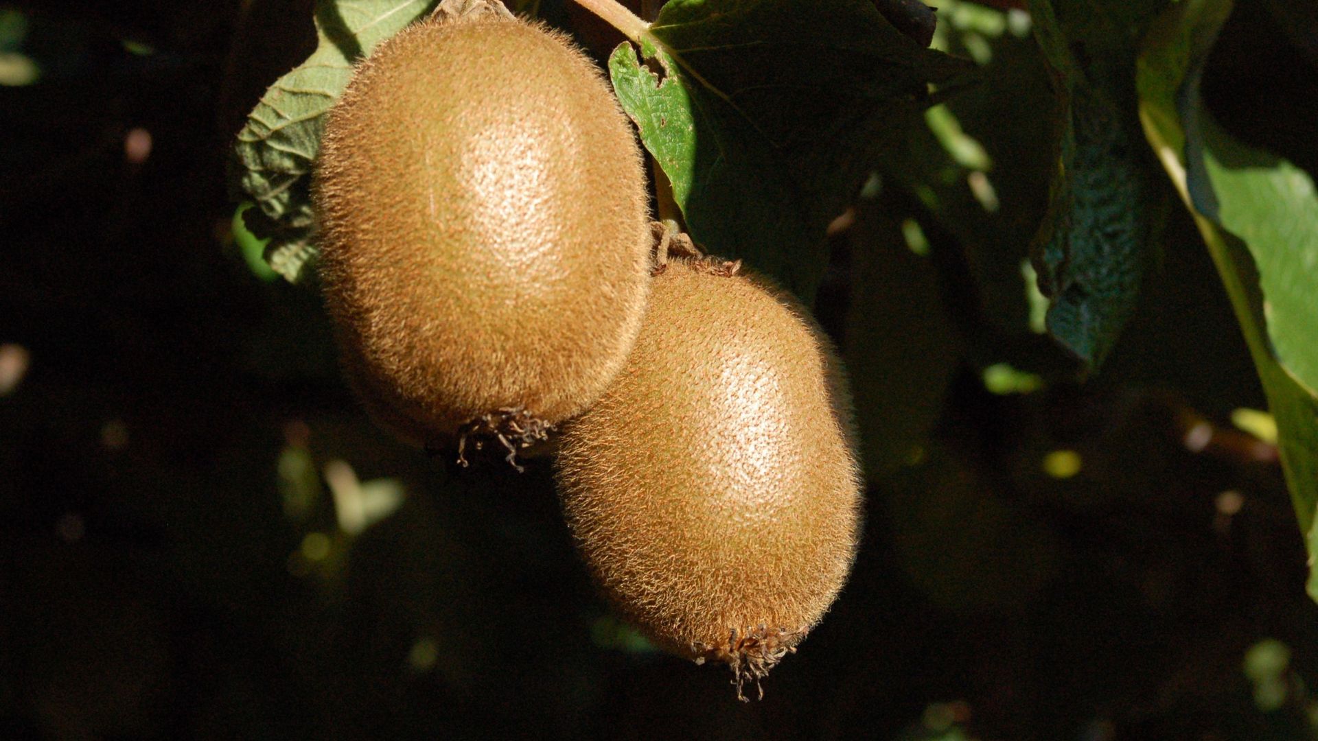 Le nutscaping: quand des testicules s'invitent sur des photos de ...