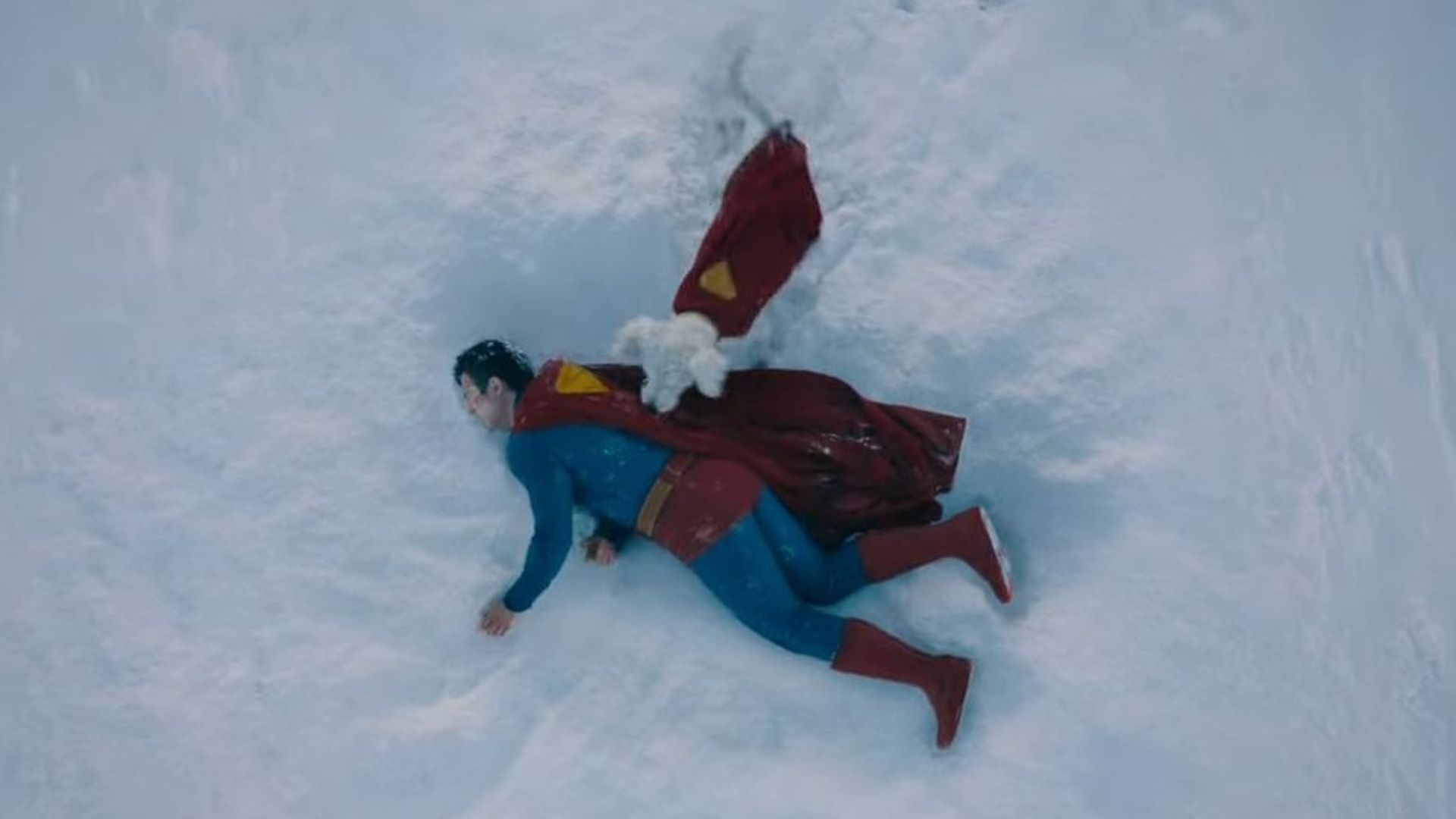 Bande-annonce très spectaculaire pour le Superman de James Gunn - RTBF Actus