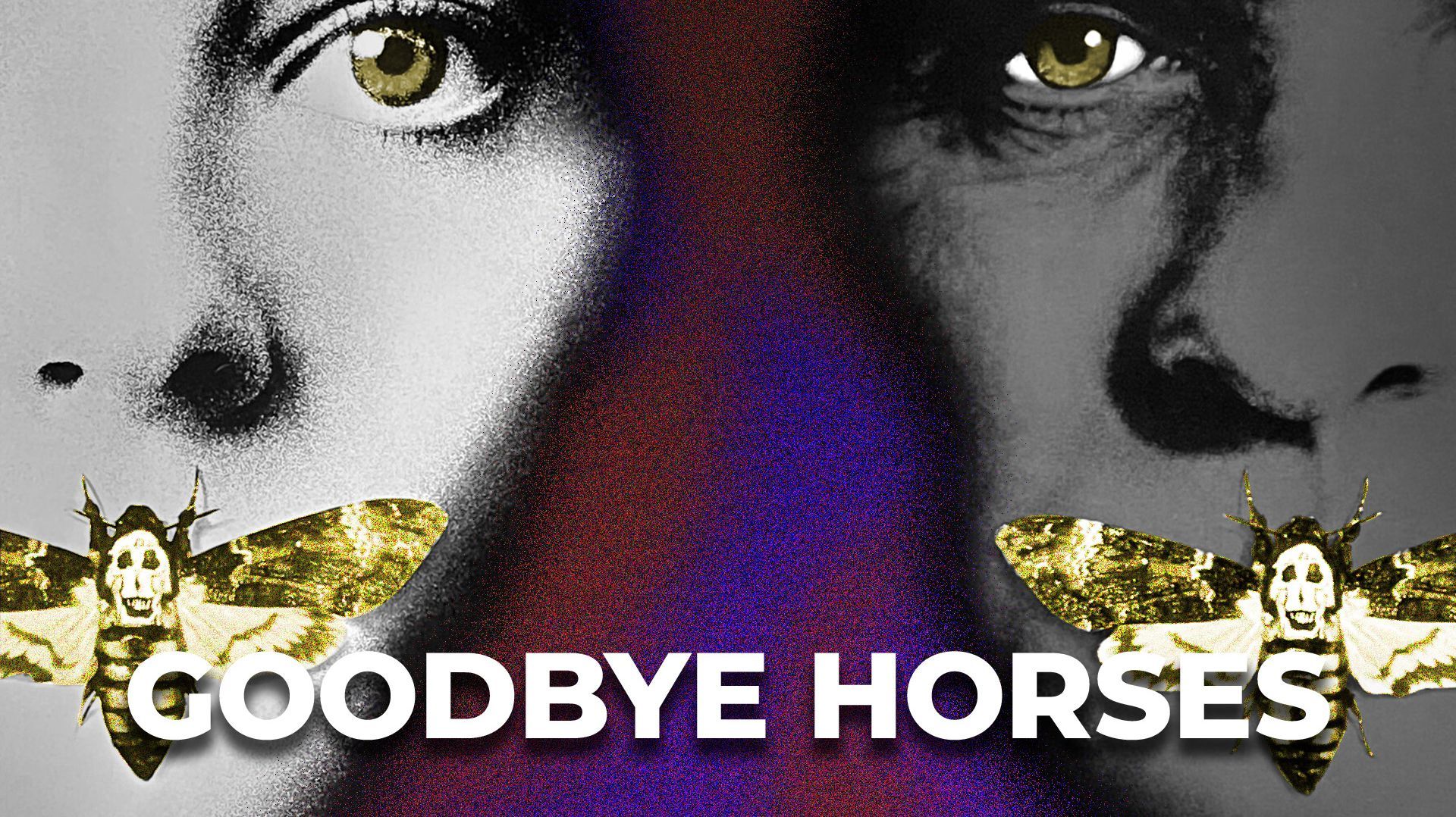 Souvenez-vous de la scène culte du 'Silence des Agneaux' avec en fond sonore 'Goodbye Horses ...
