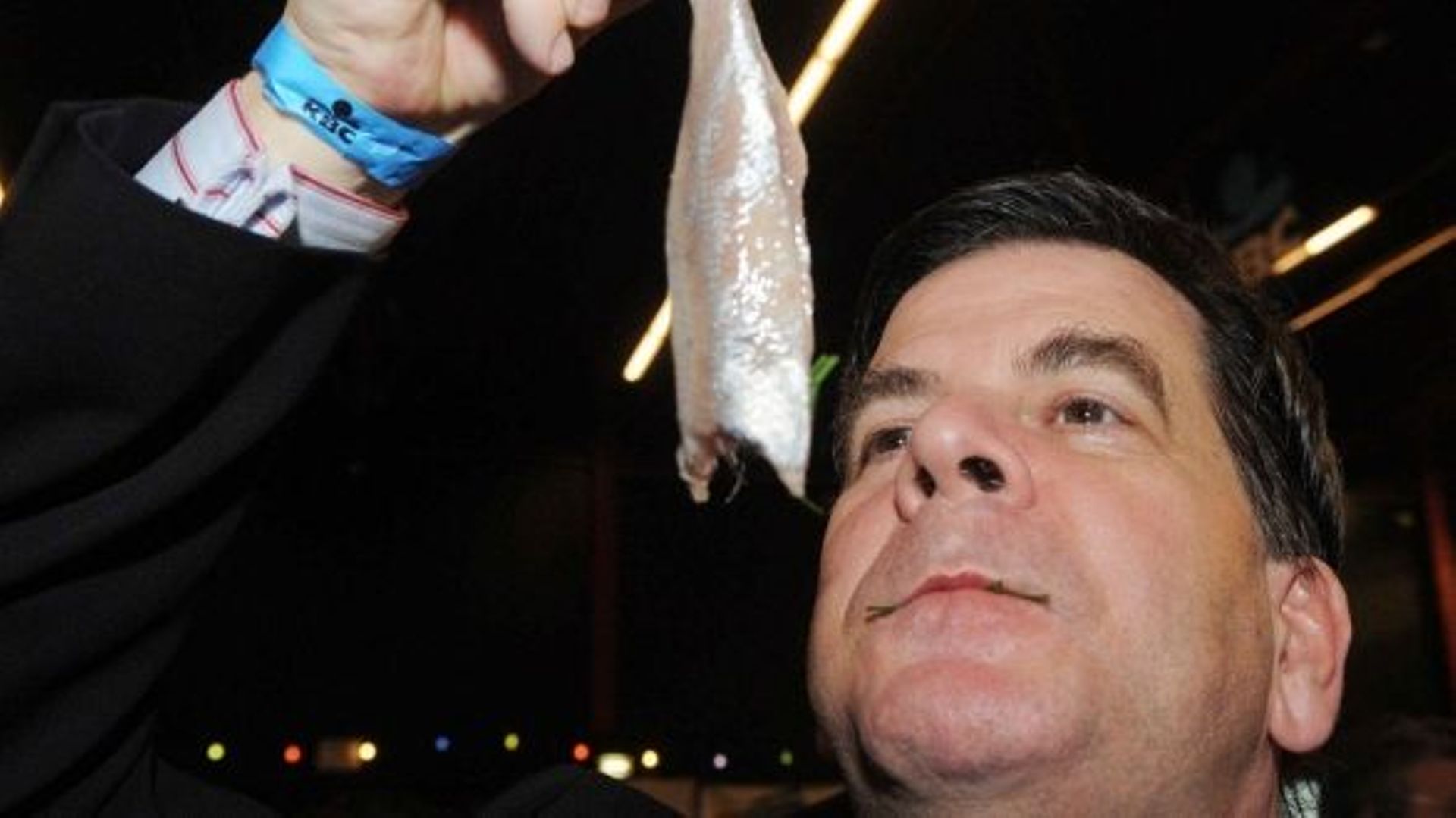 Pays-Bas: le maatje nouveau est arrivé - rtbf.be