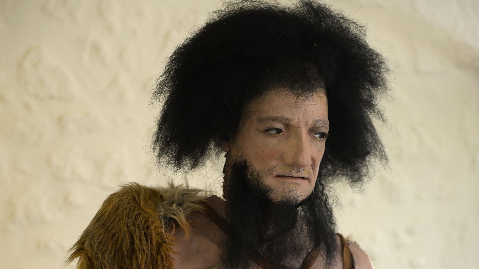 L'Homme de Cro-Magnon réhabilité sur le site de sa découverte - RTBF Actus