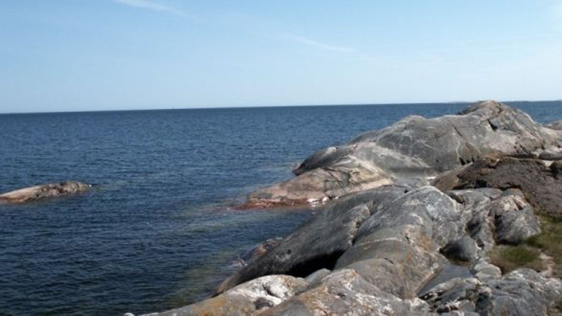Planète Première : pollution de la Mer Baltique - RTBF Actus