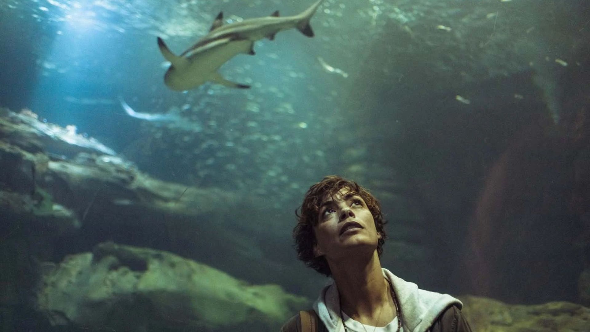 'Sous la Seine': quand le cinéma ternit l'image d'un animal essentiel à la santé des océans ...