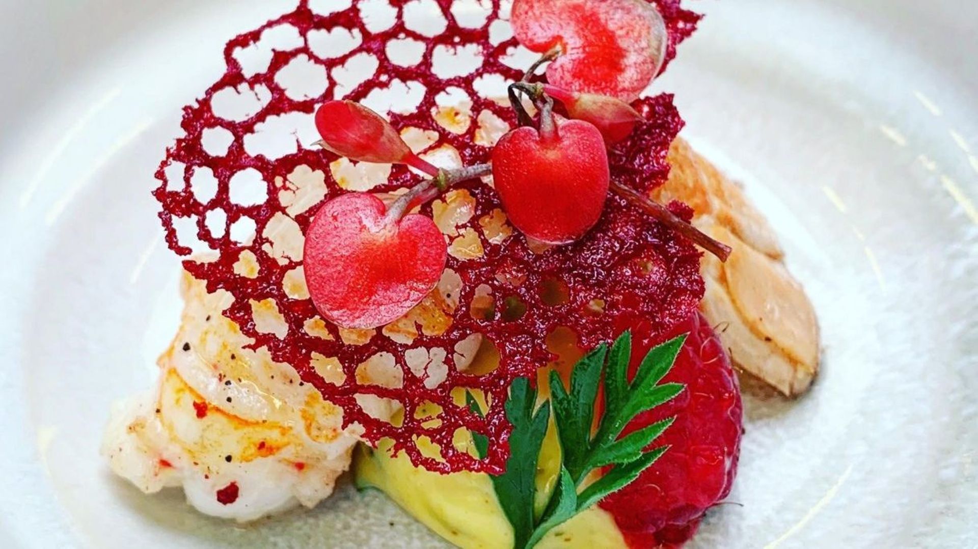 Le bon plan Guide Delta de cette semaine : Le Tribeca à Gerpinnes ...