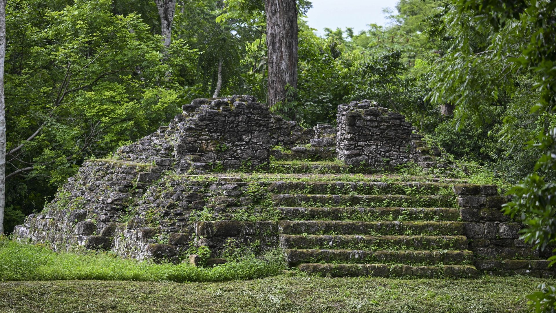 Guatemala : découverte des vestiges d’une cité maya vieille de 2800 ans ...