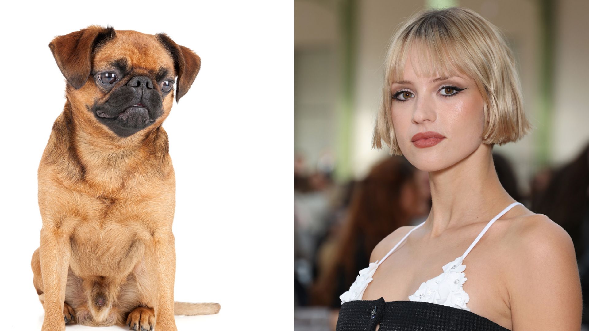 Angèle et Pepete : la chanteuse belge et son chien posent en Une du ...