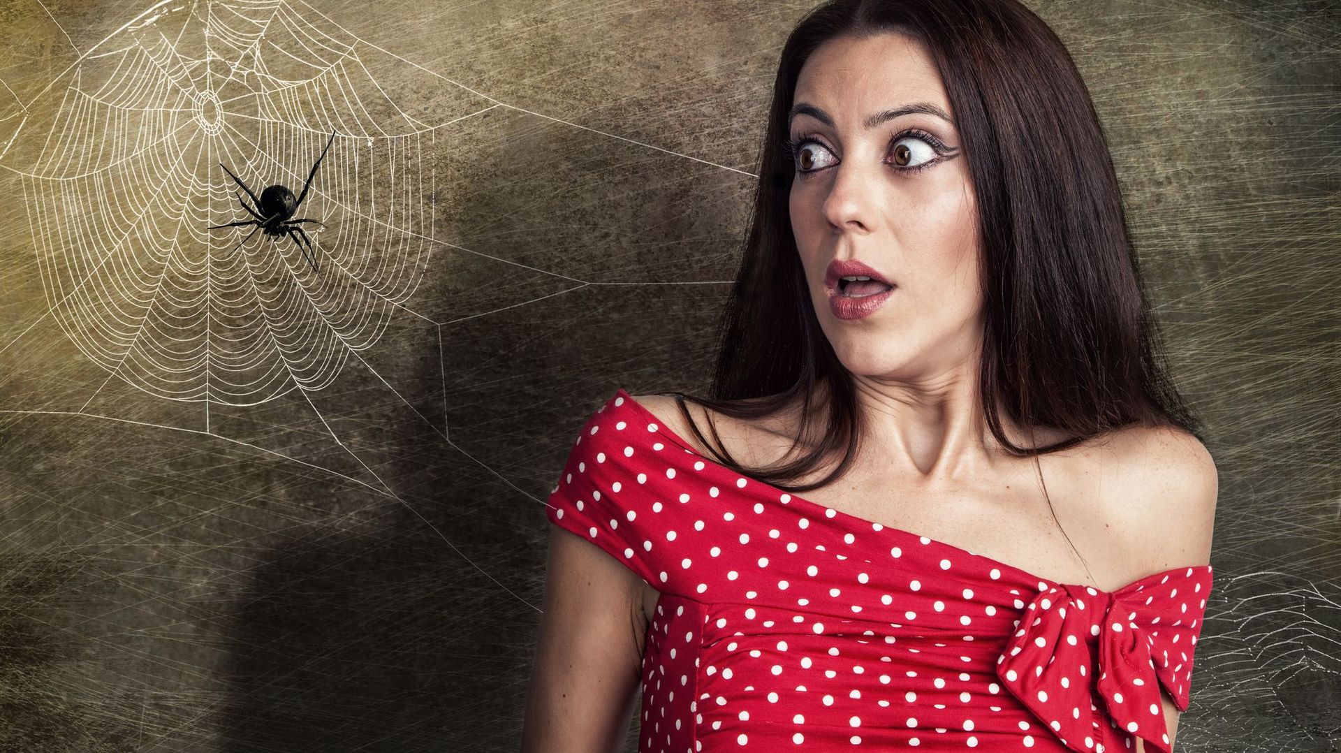 Les phobies les plus fréquentes - RTBF Actus