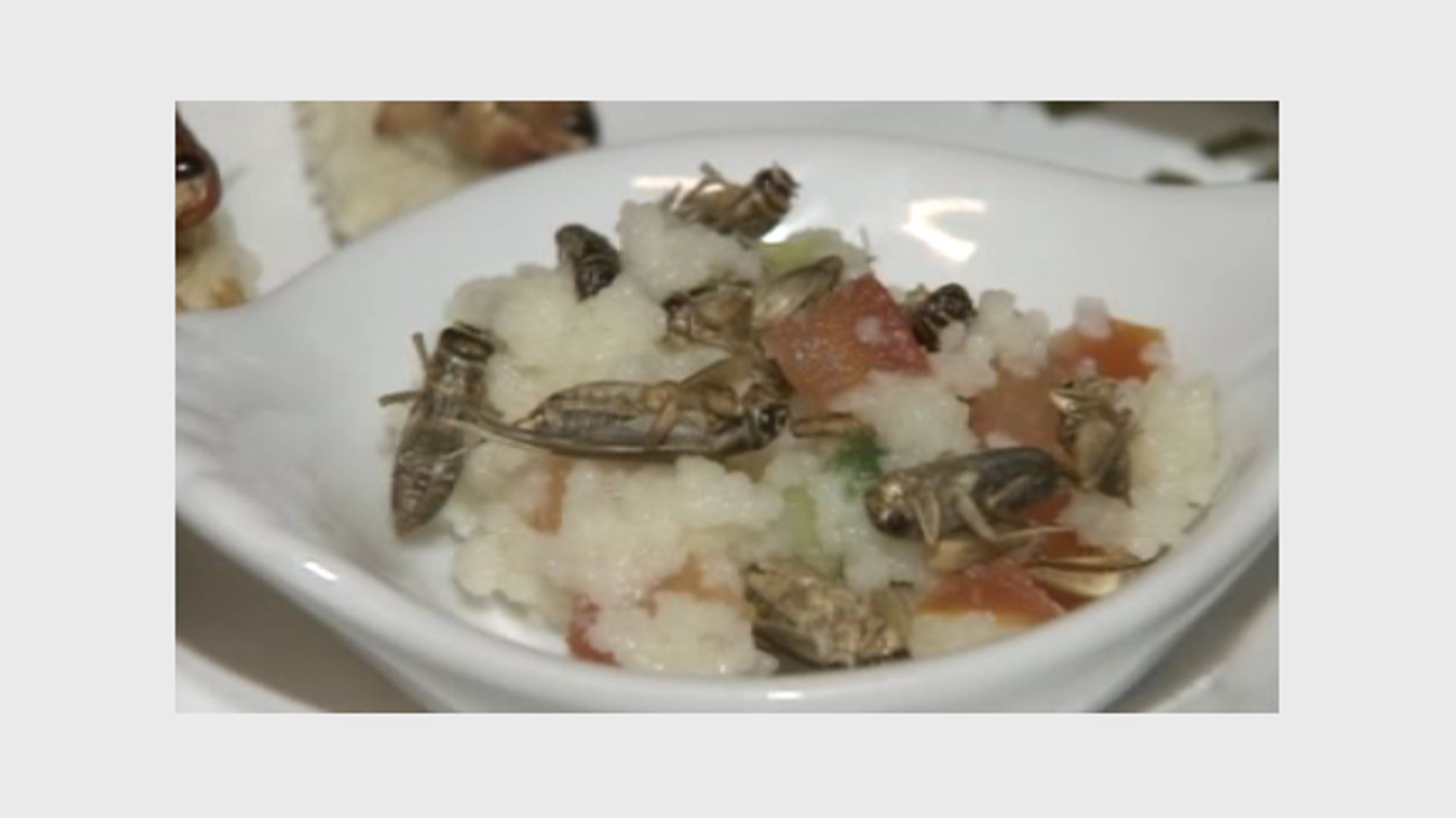 Des insectes à la place de la viande dans nos assiettes - RTBF Actus