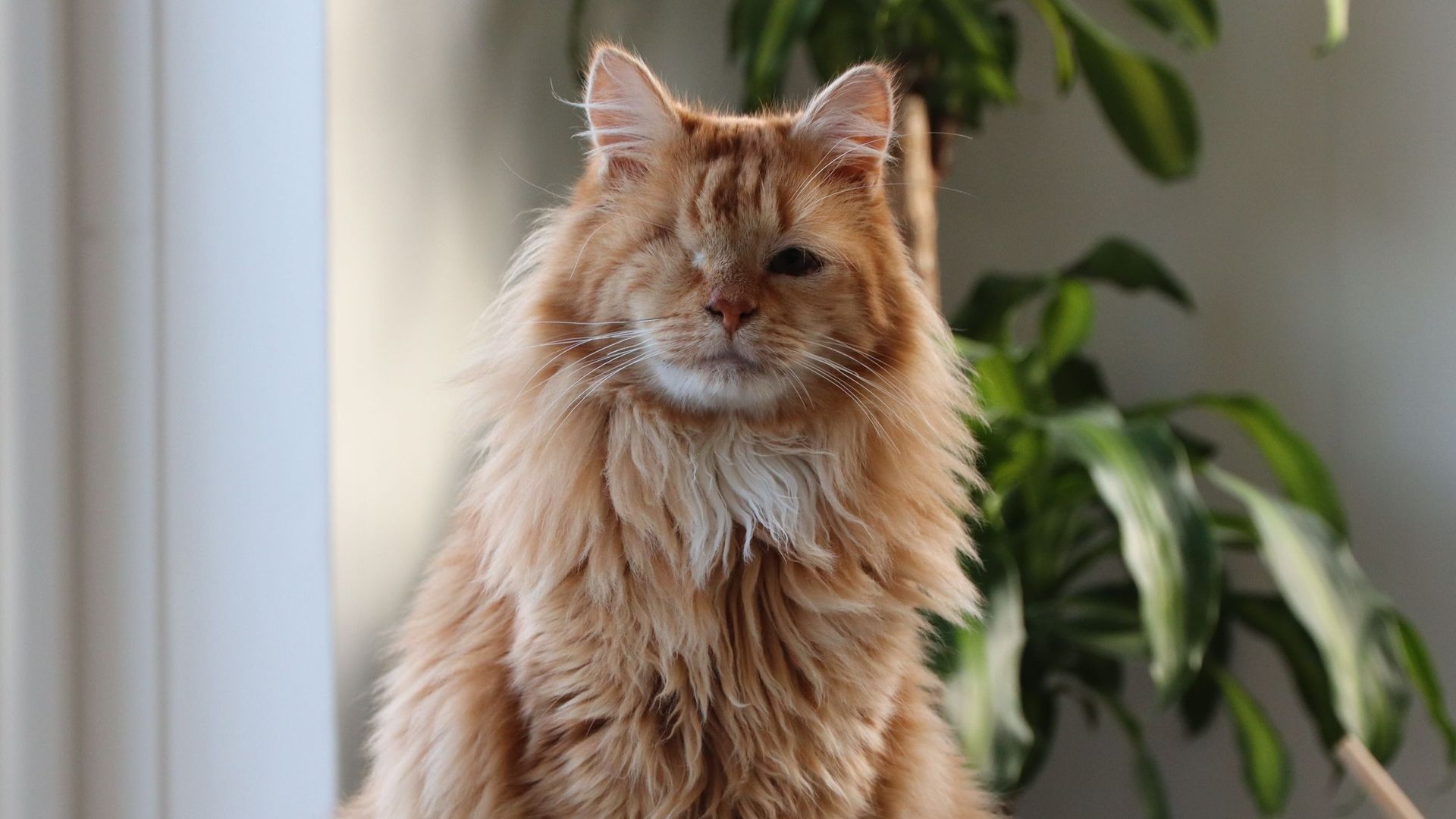 Une découverte majeure ouvre la porte à une arme double contre le ...