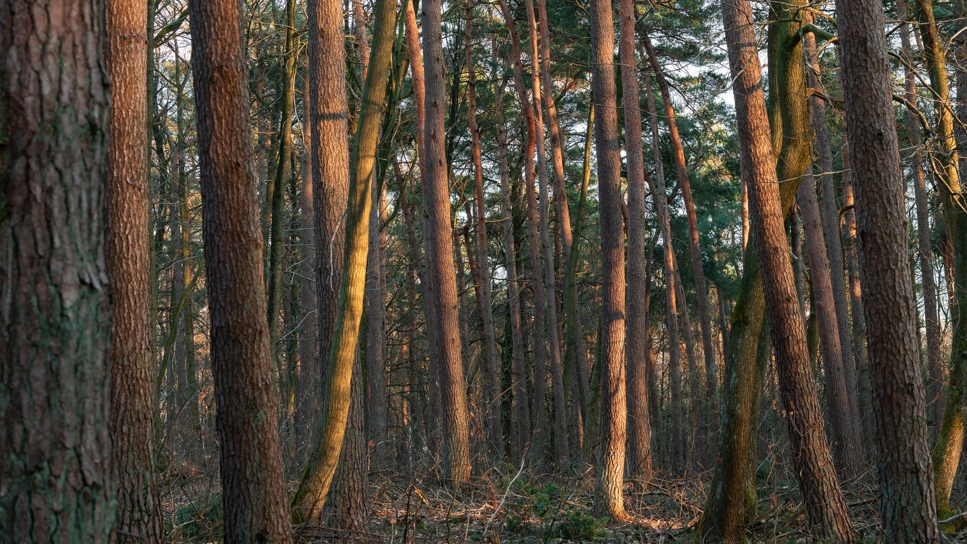 A Wavre et Louvain-la-Neuve, 'Les Petits Riens' ont collecté 1364 ...