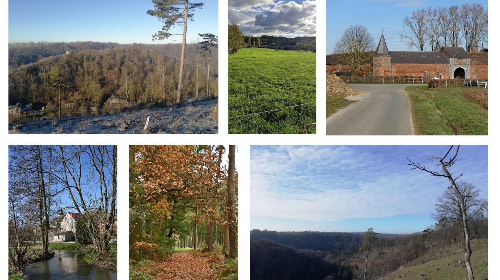 Les 9 marches Adeps du dimanche 23 novembre en Wallonie - RTBF Actus