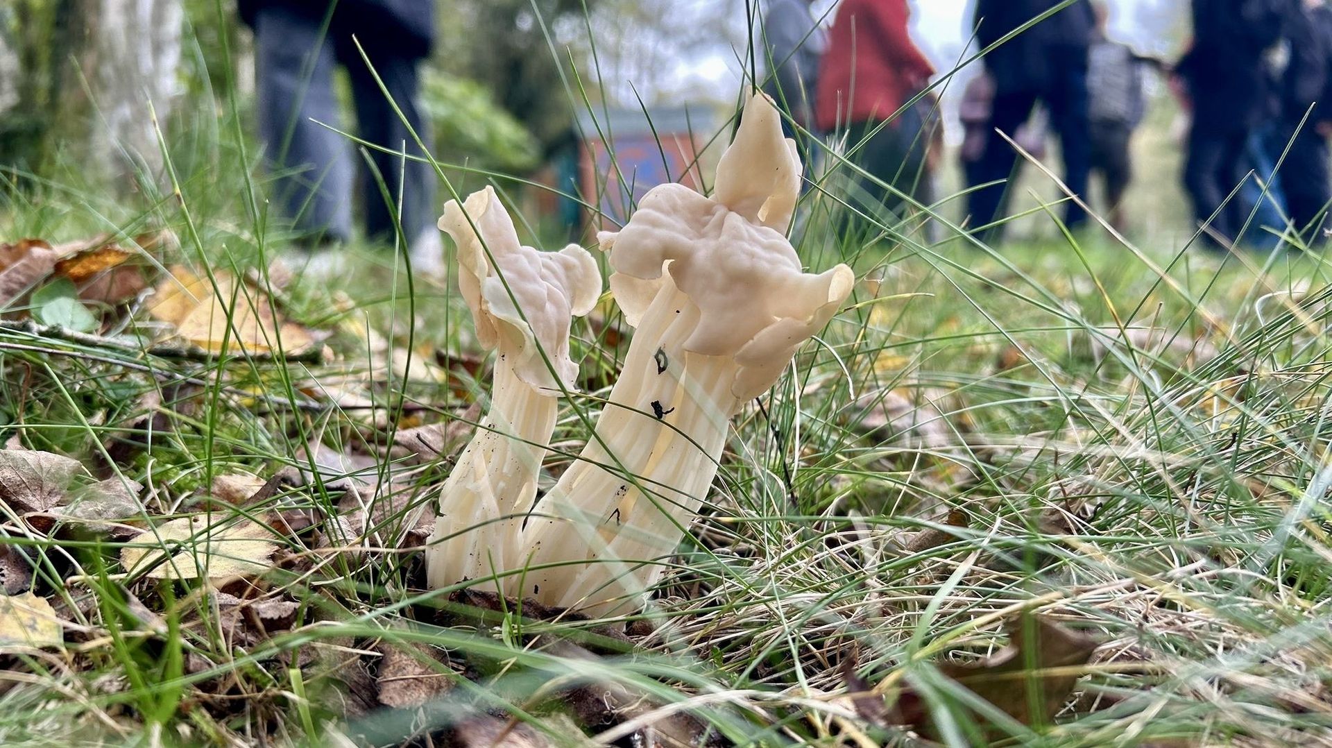 Jamioulx : 'Le diable se cache dans les détails', des balades guidées à ...