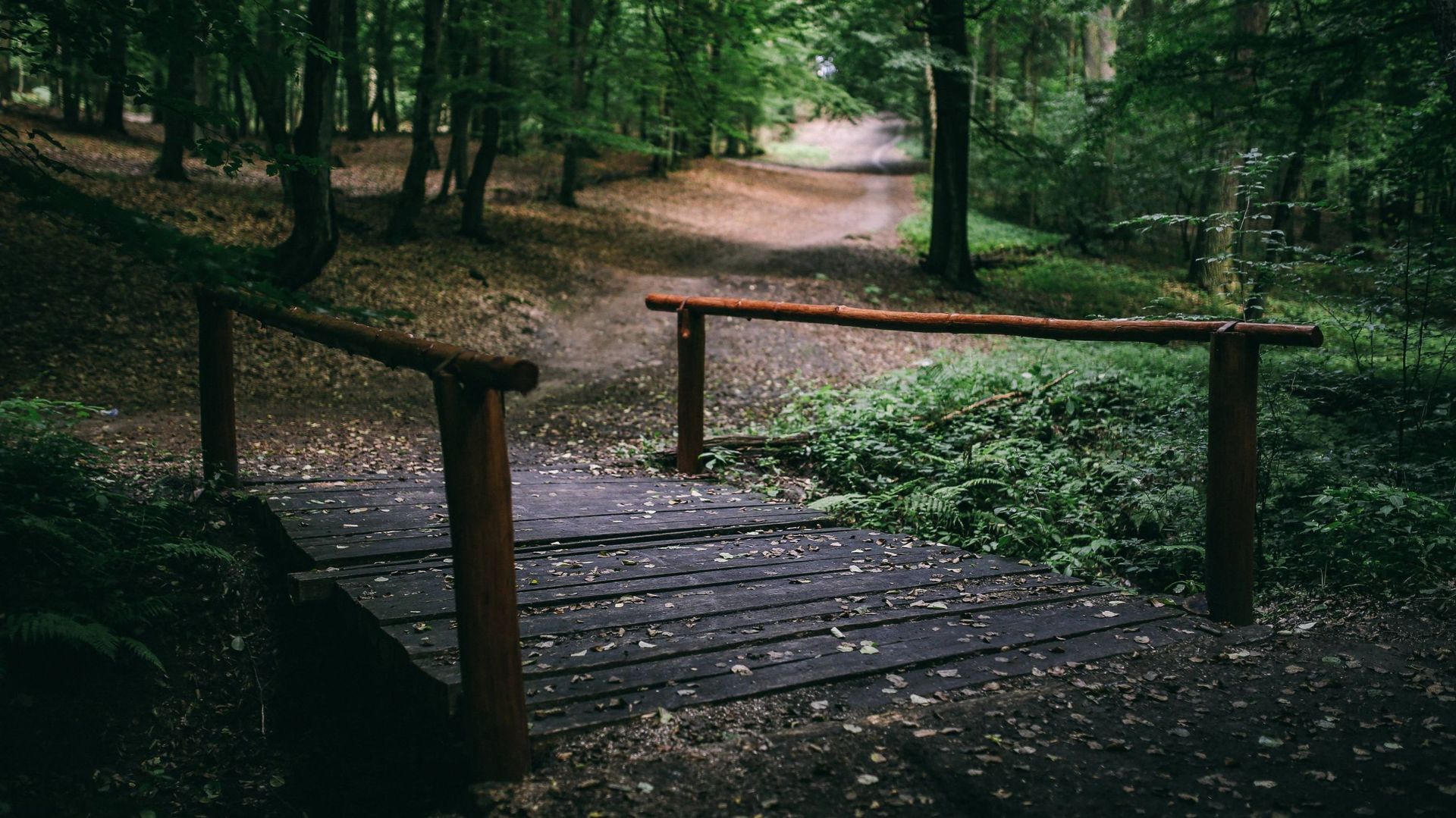 Le Parc des Merveilles, l'histoire d'une petite fille qui s'imagine un ...