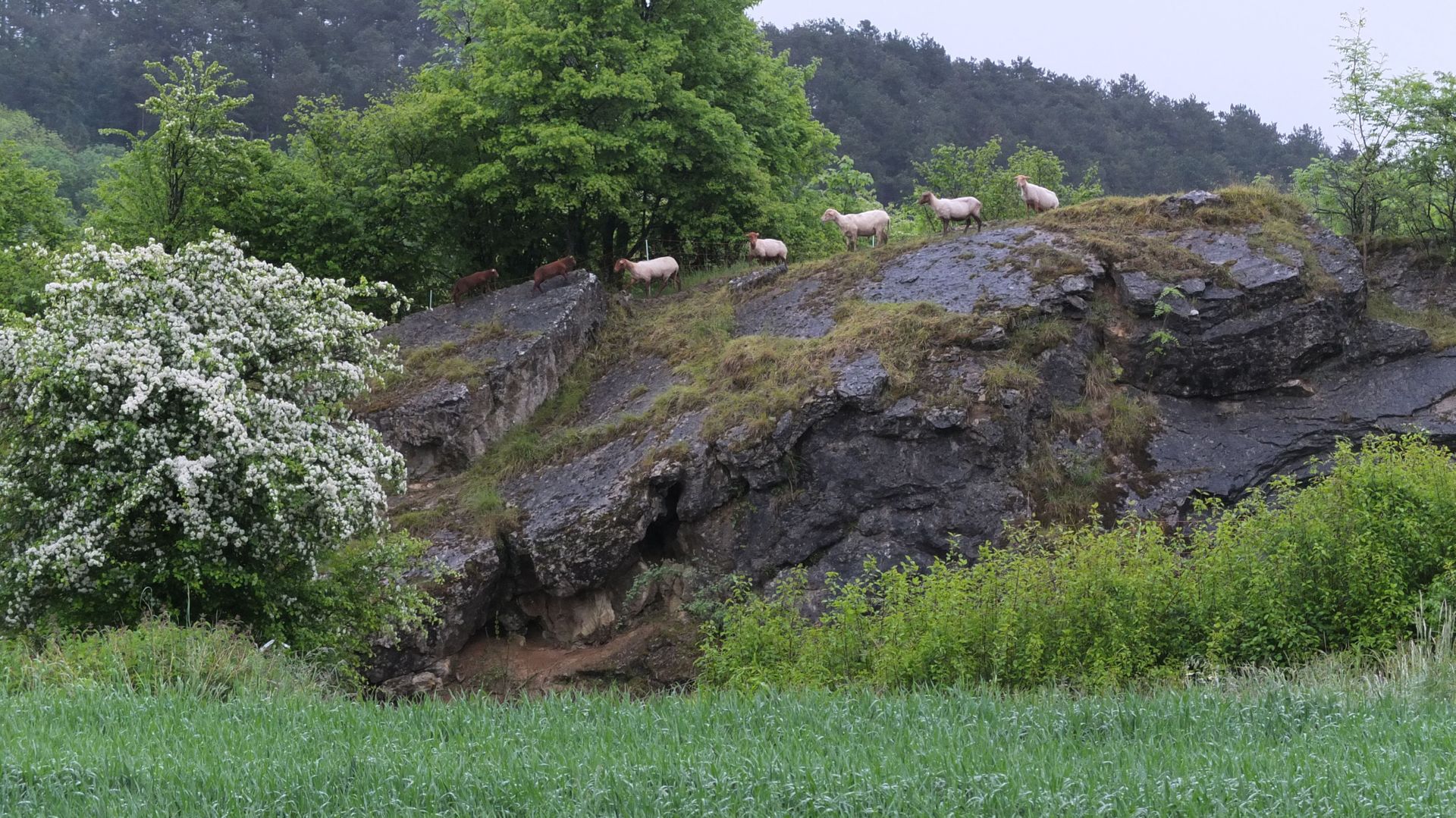 La Wallonie d'est en ouest : Vallée du Viroin
