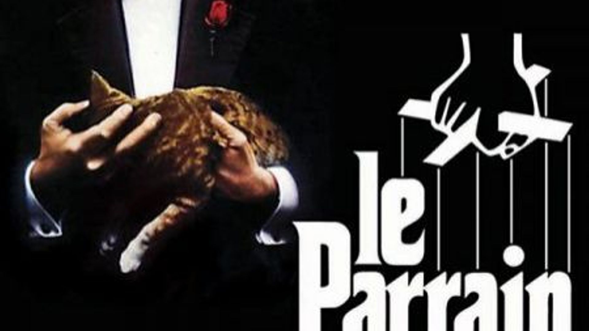 Le Parrain (1972) - RTBF Actus