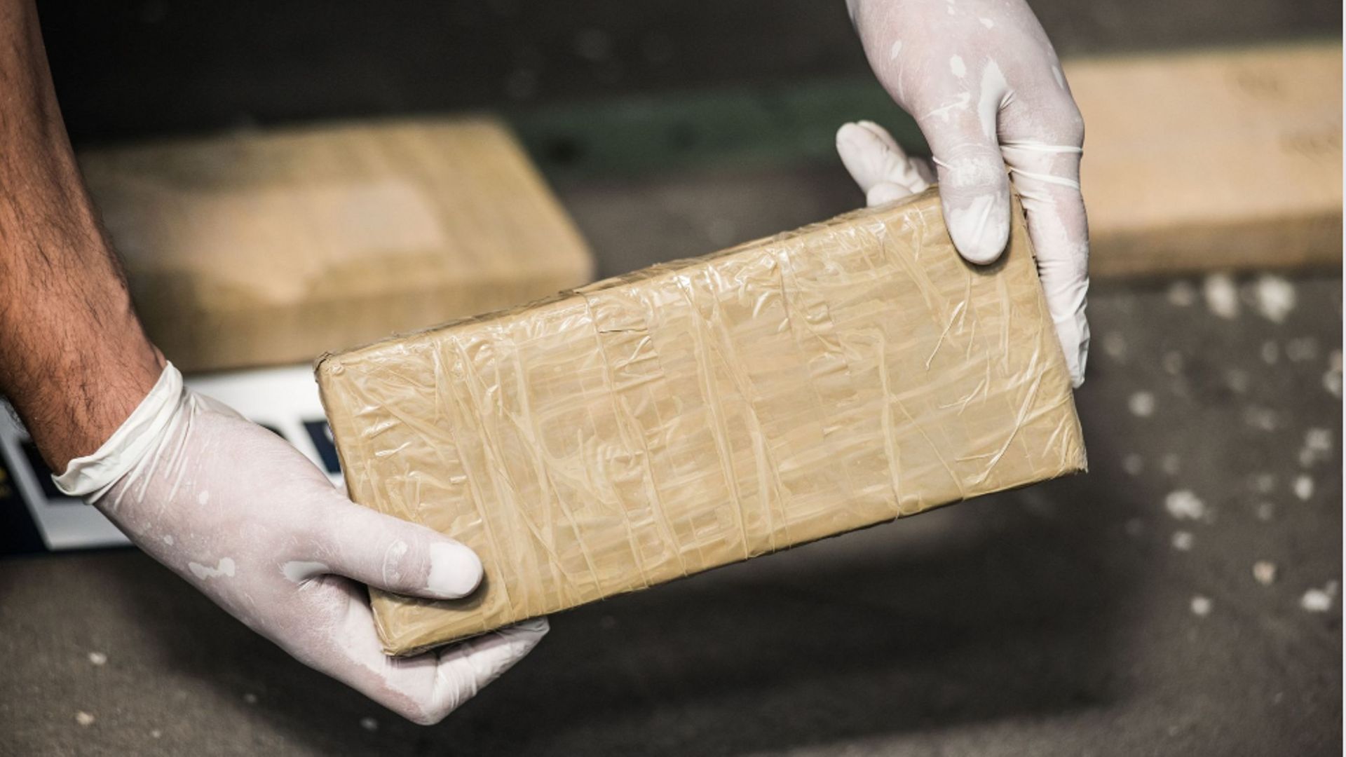 Judiciaire : 12 ans de prison pour le chef d’un réseau de trafic de drogue depuis l’Albanie ...