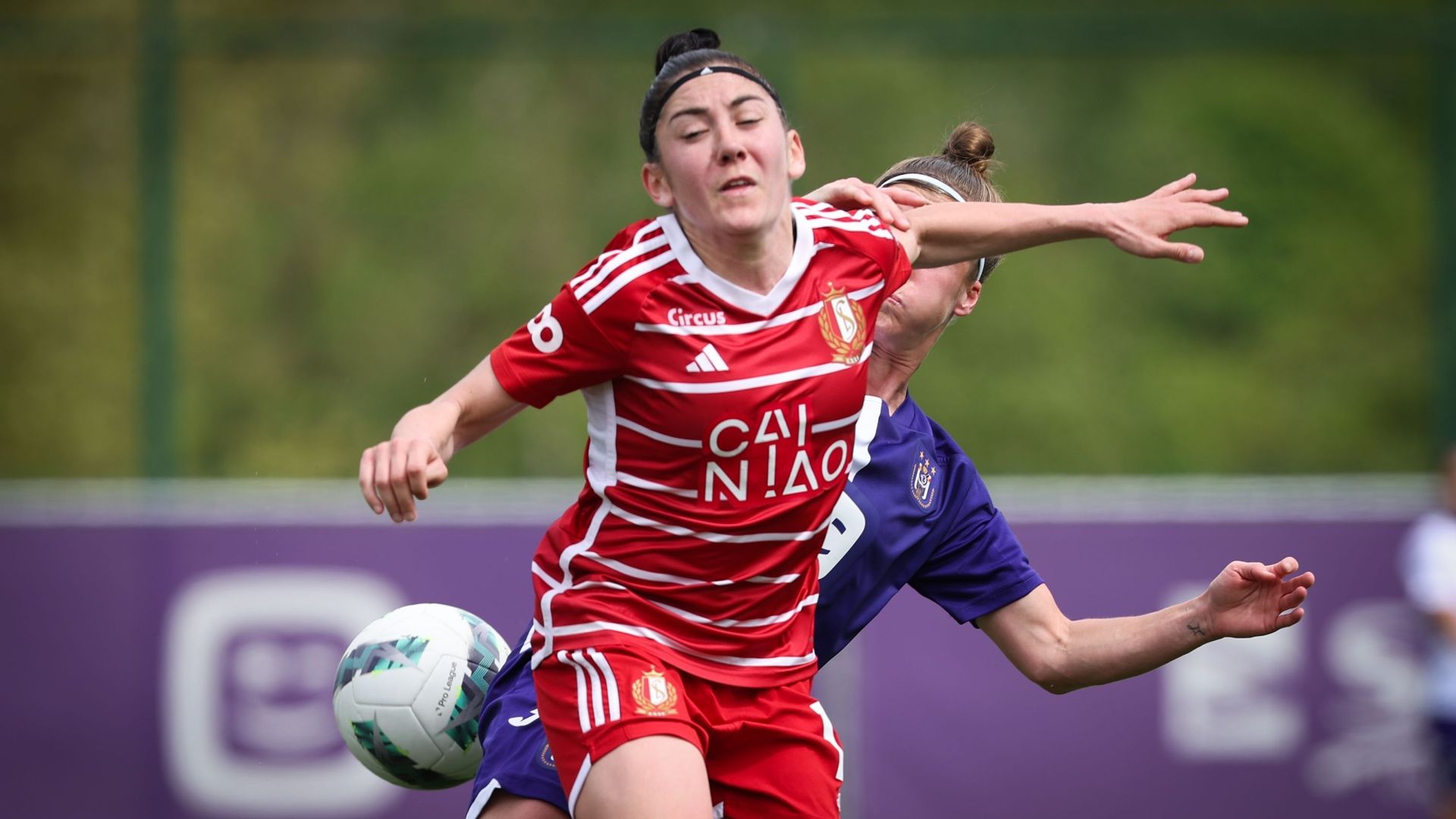 Colin Coosemans rêve de la Coupe de Belgique : 'Tout faire pour ramener ...