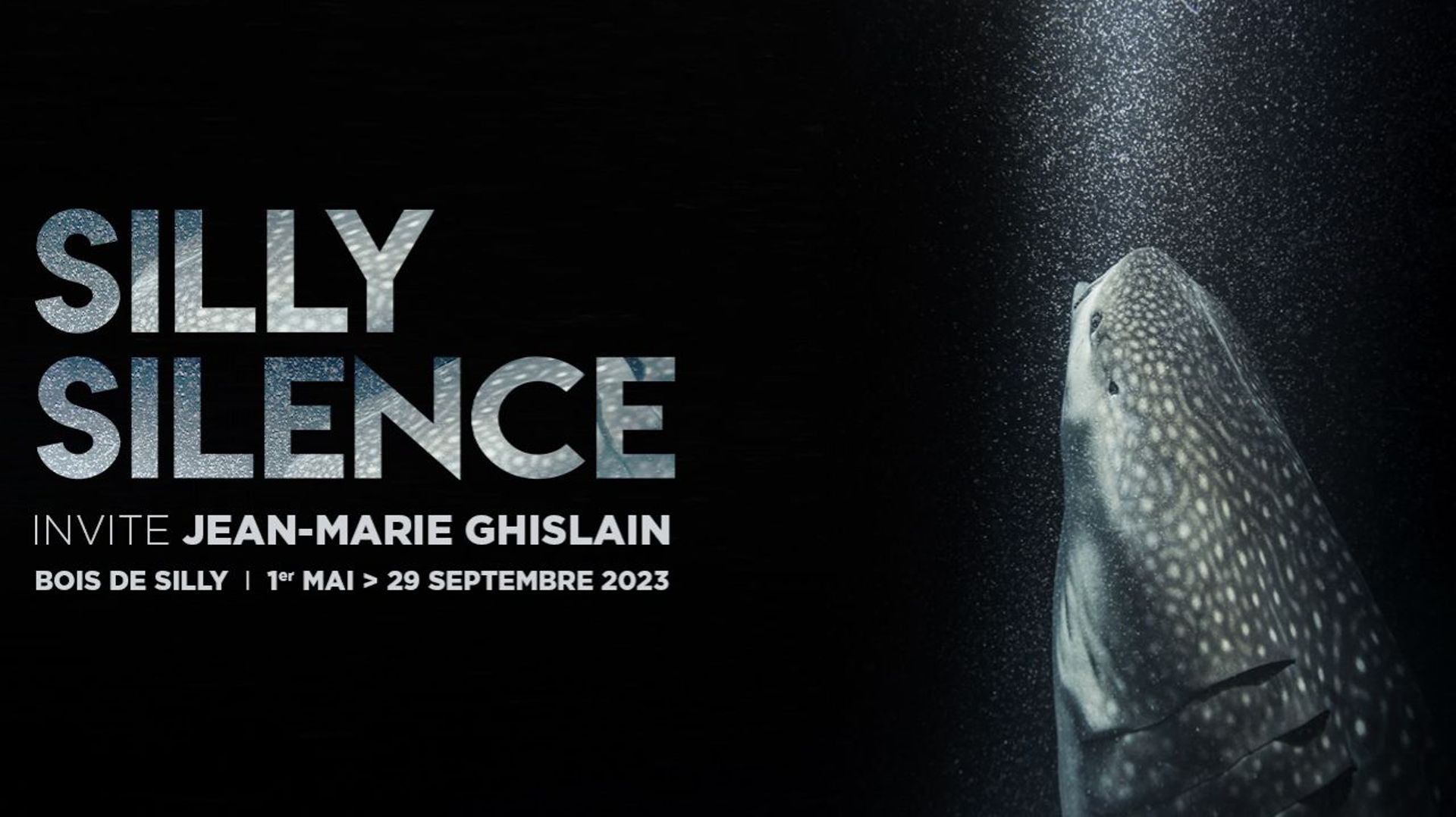 Promenade sous-marine pour la 4e édition de Silly Silence