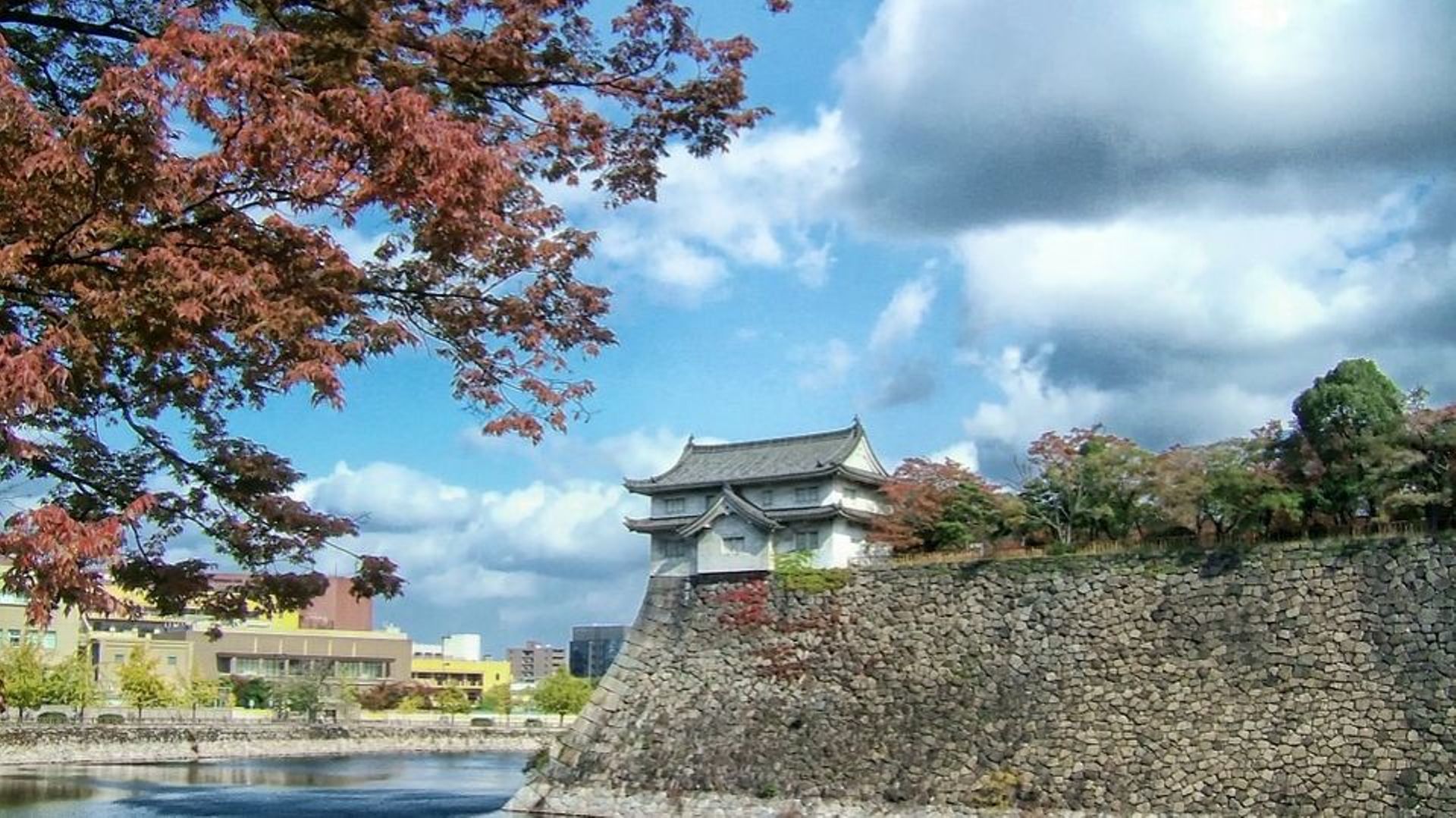 Japon : Nicolas Wauters, Accompagnateur de séjours à Tokyo - RTBF Actus