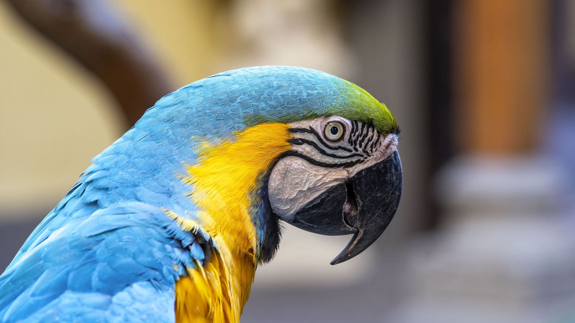 Un nouveau centre de formation pour la police fédérale à Jumet - RTBF Actus